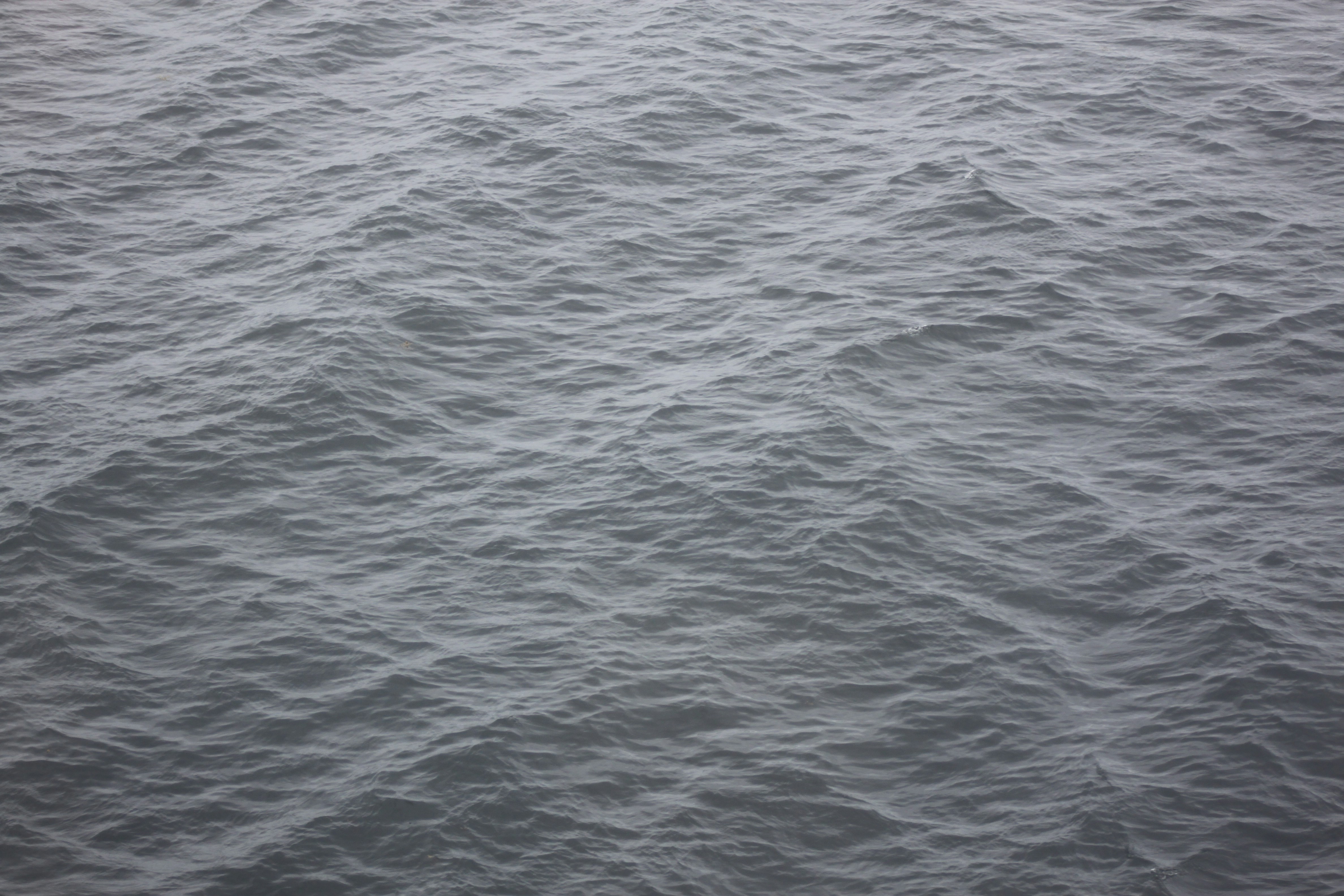 Ripples of Grey: A Quiet Ocean Surface Under Soft Light