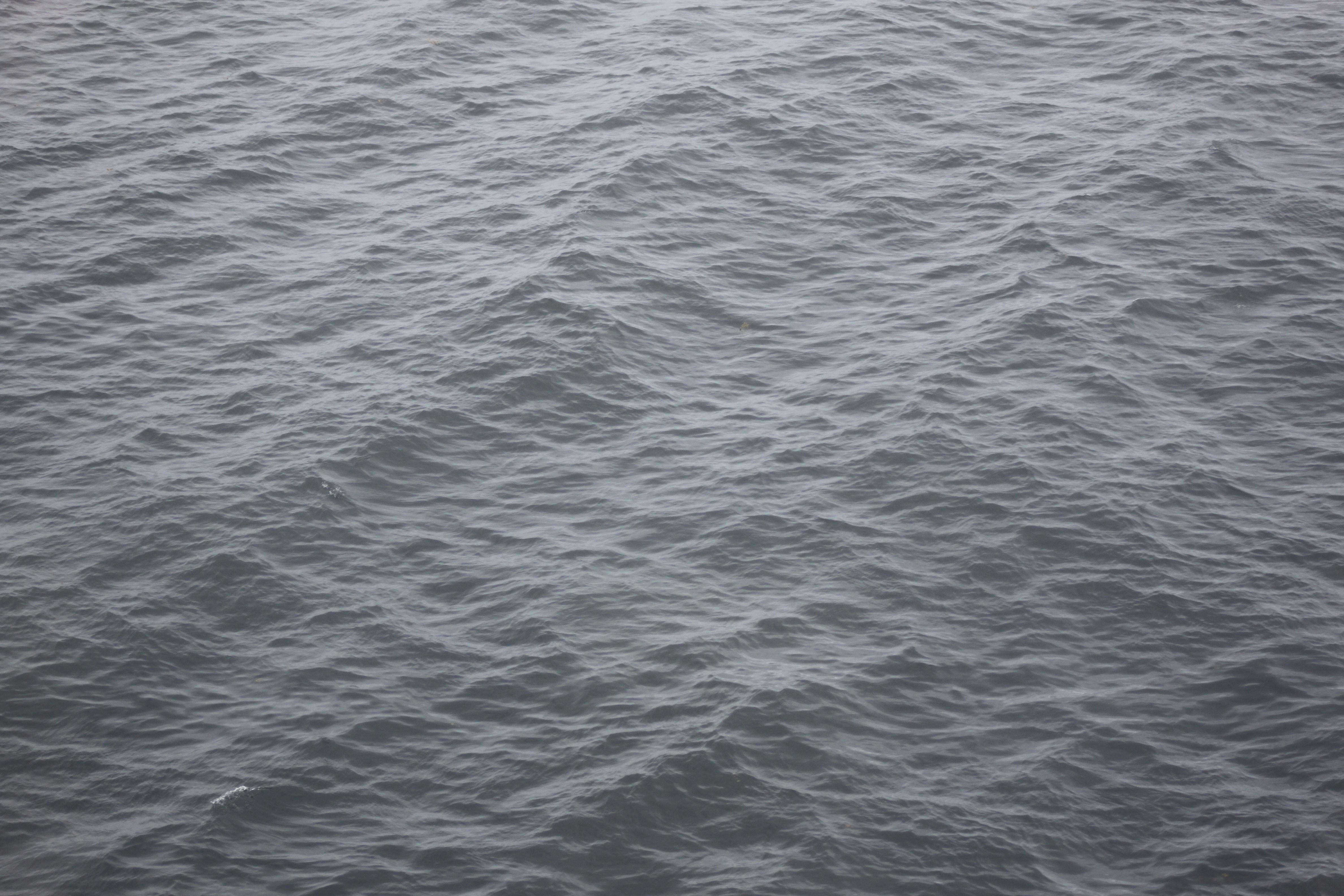 Calm Ocean Texture: Gentle Ripples Across Gray-Blue Surface