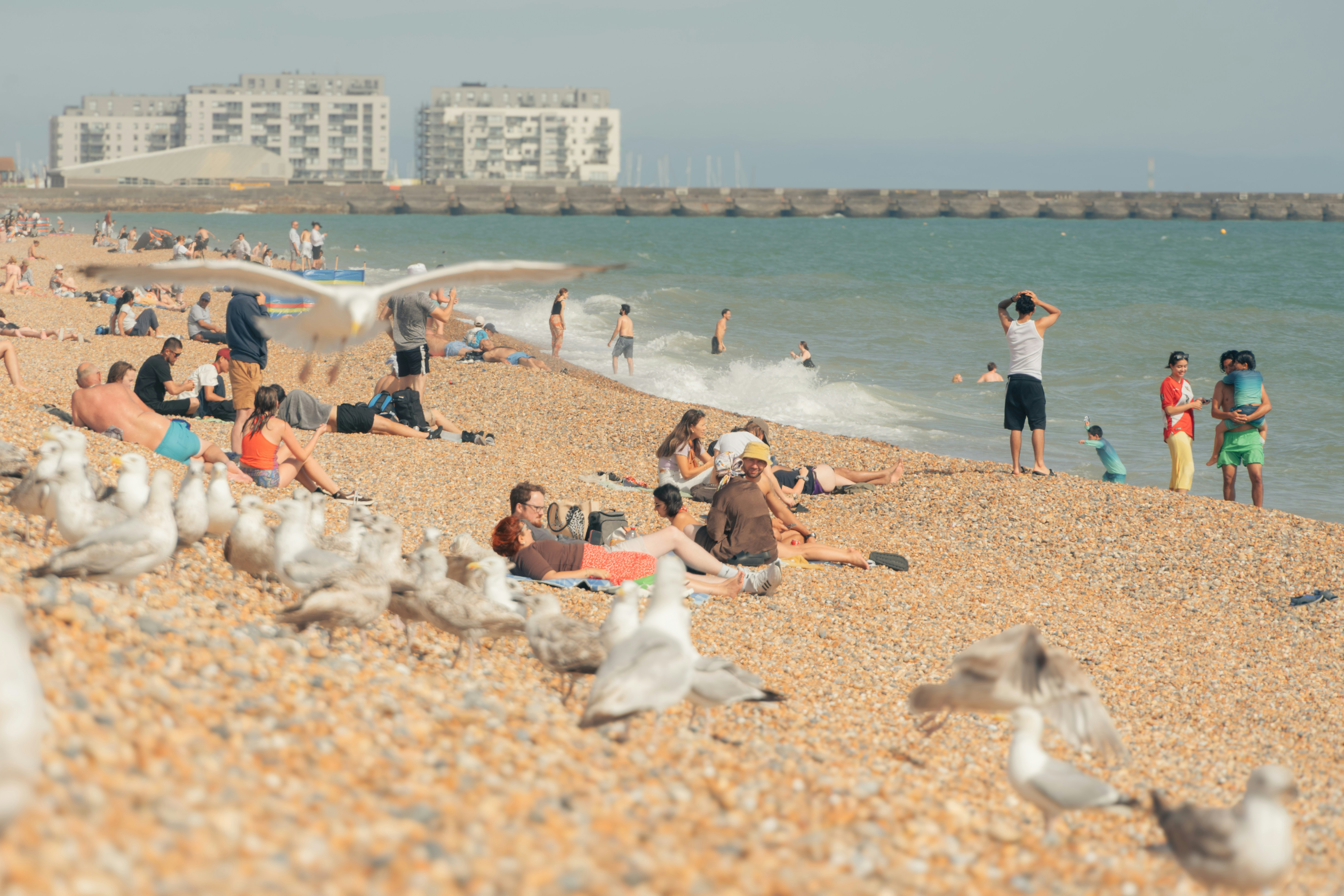 Sunlit Beach Mosaic: People, Seabreeze, and Seagulls