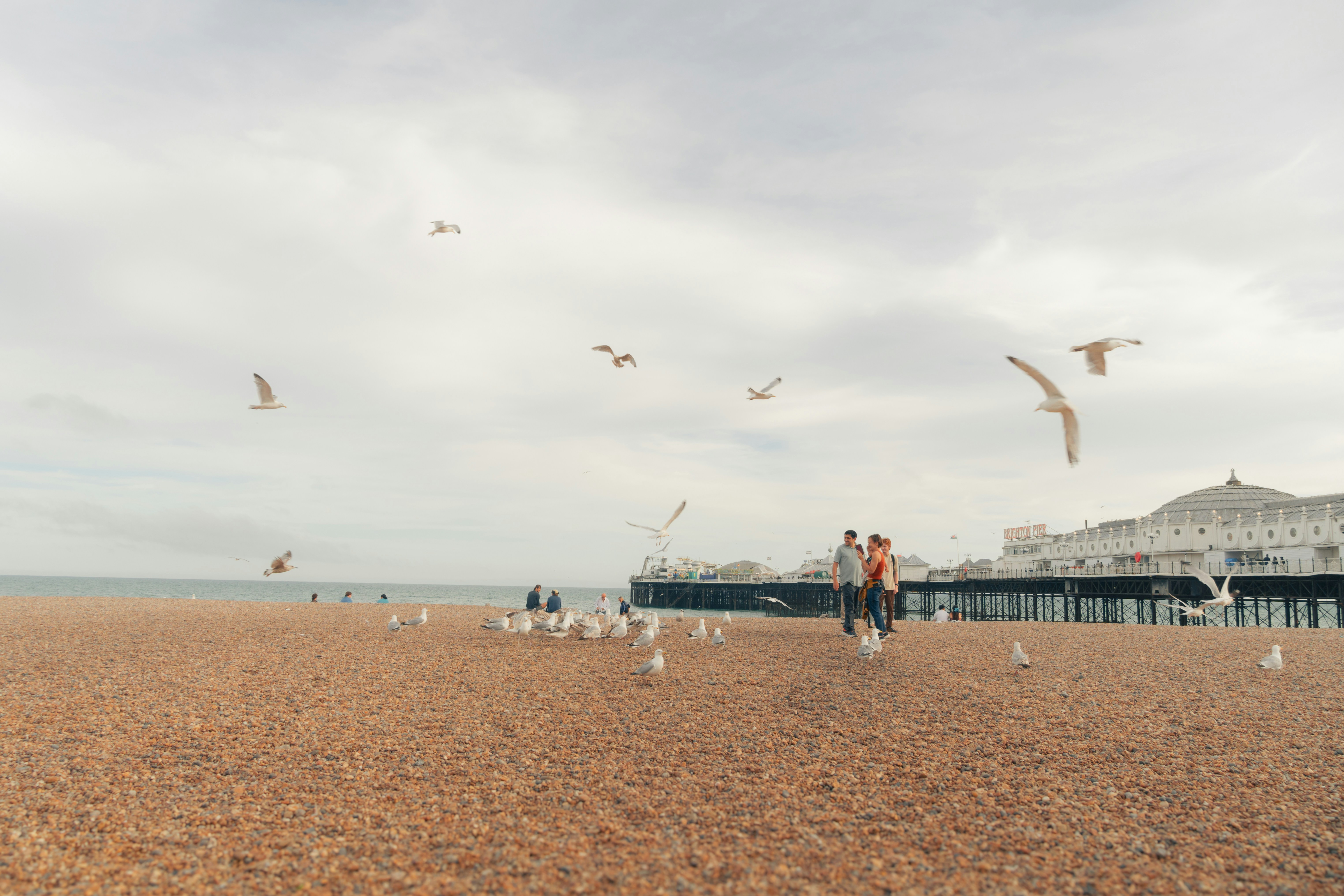 Couple on the pier as gulls circle over a sunlit pebble beach