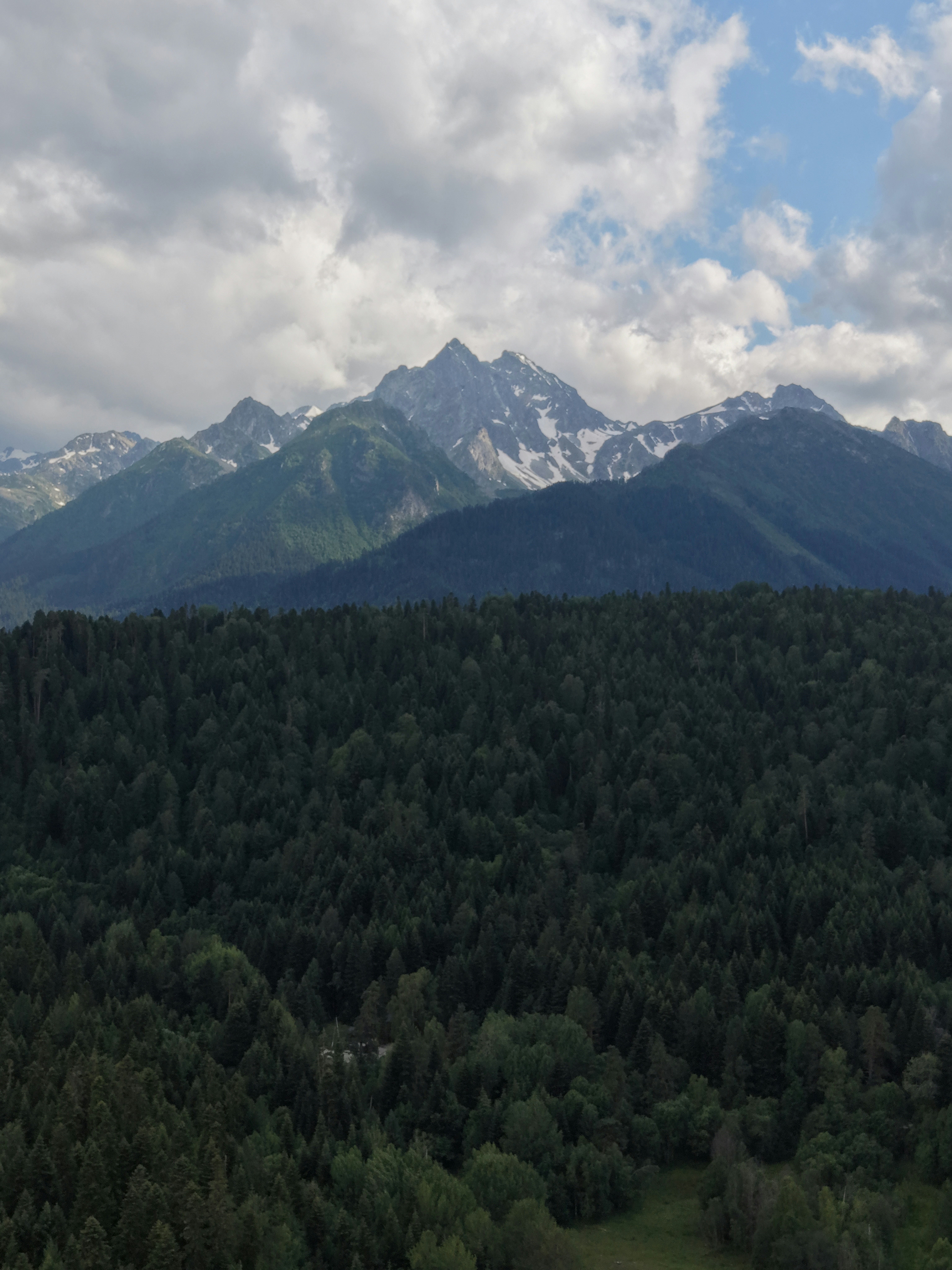 Snow-kissed peaks above a pine-blanketed valley