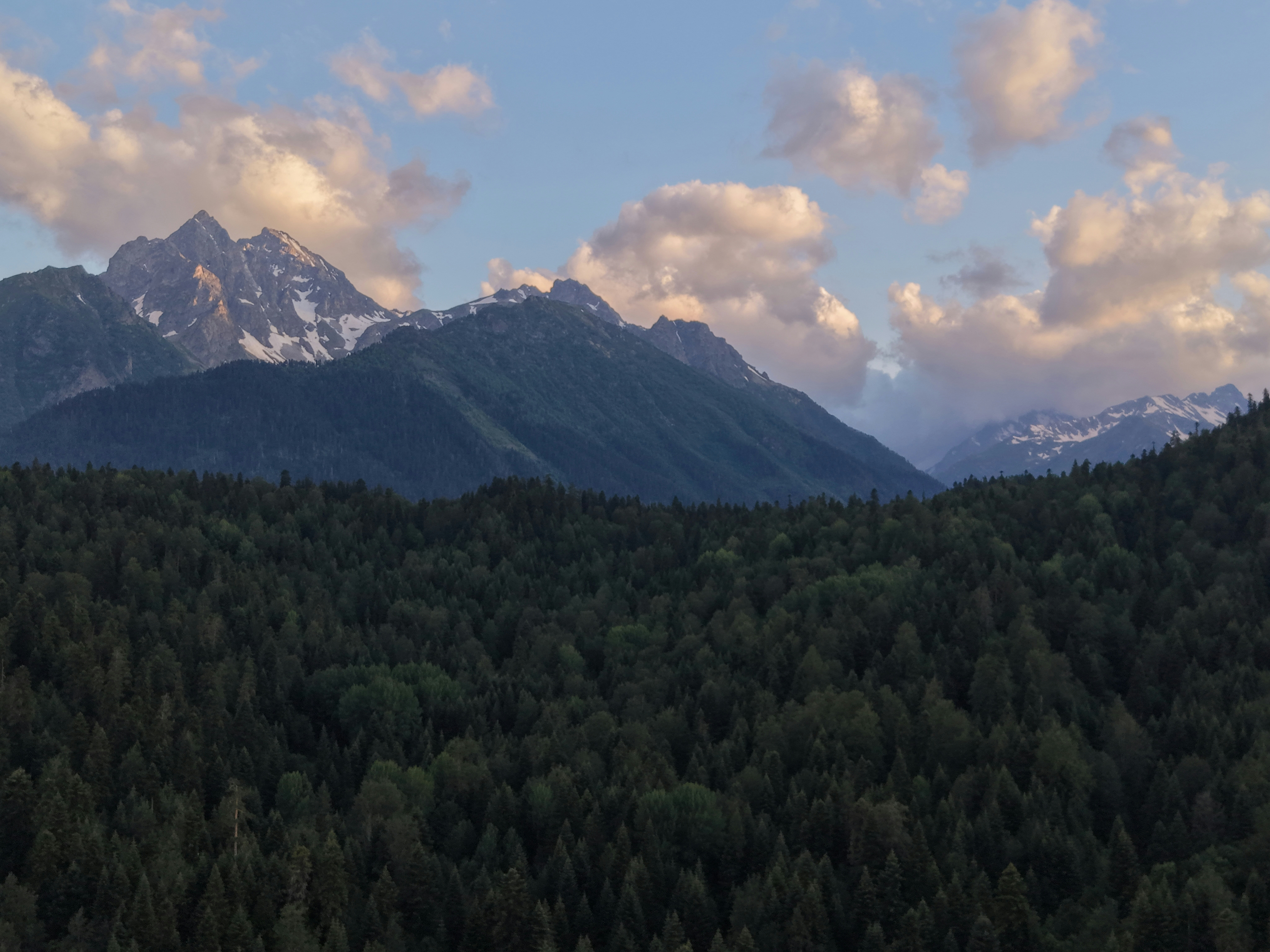 Mid-Math of Pines and Peaks at Dusk