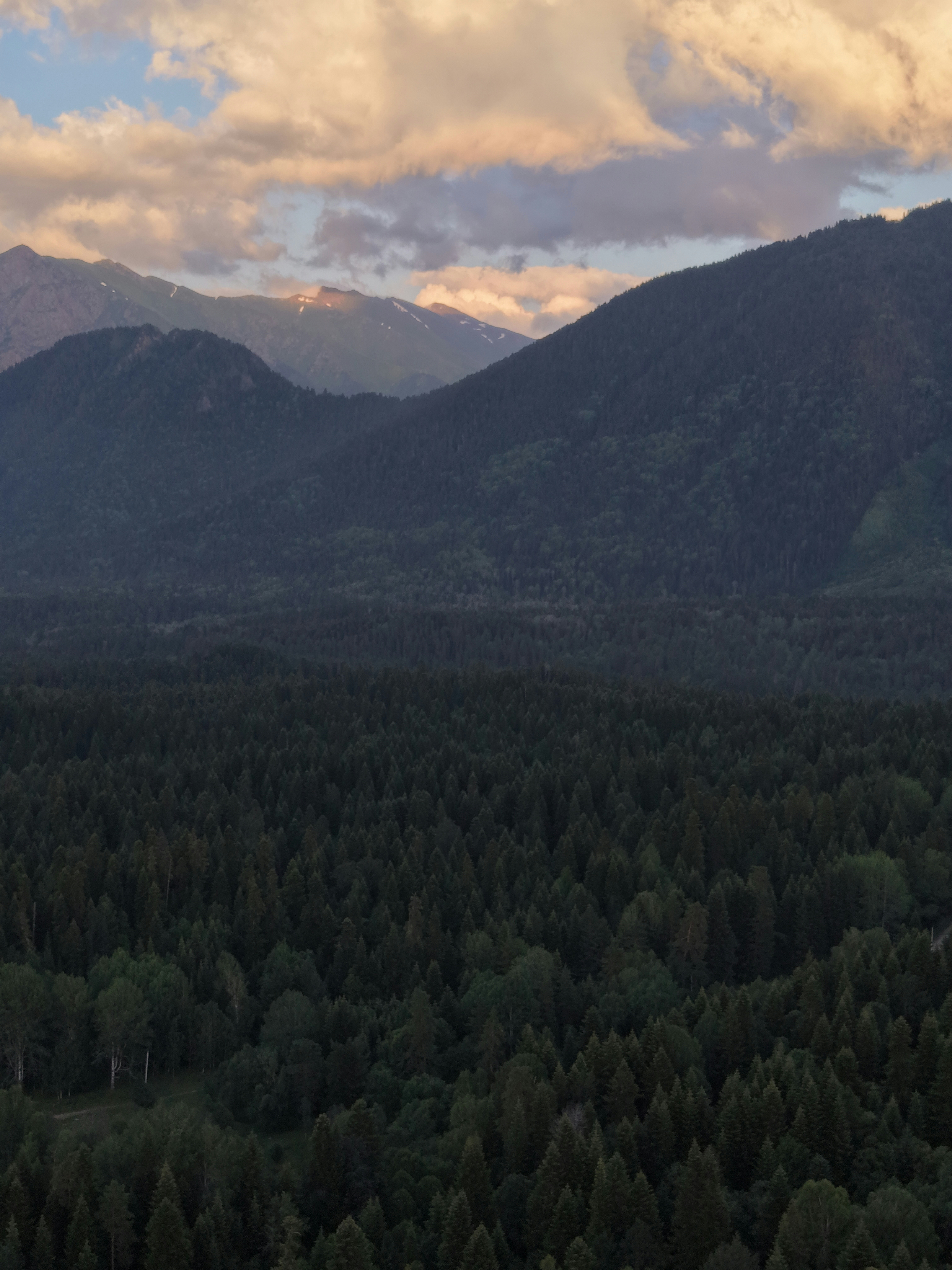 Sunlit Summit Over a Velvet Forest