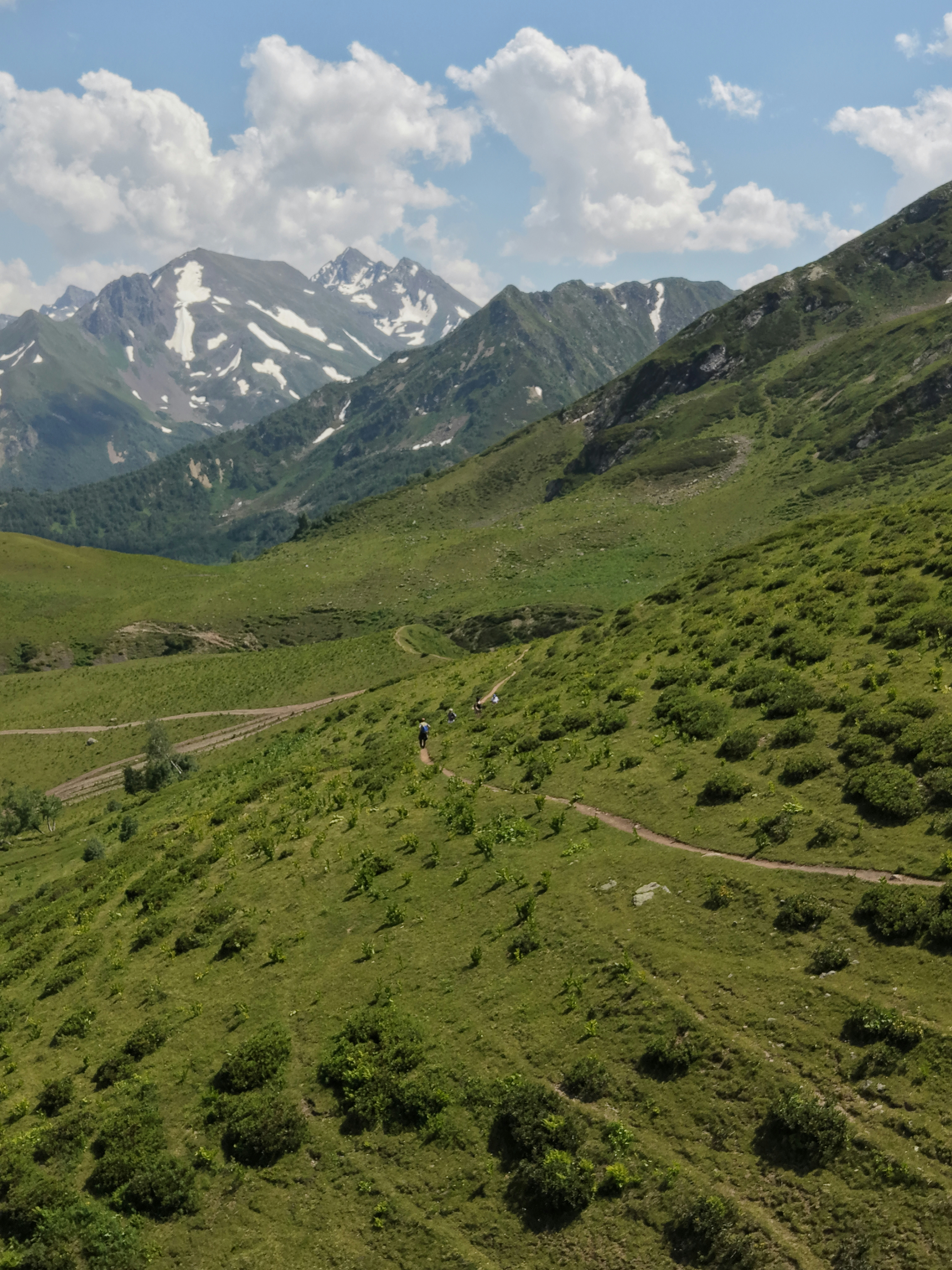 Trail Through Alpine Green: A Luminous Ascent Beneath Snow-Capped Peaks