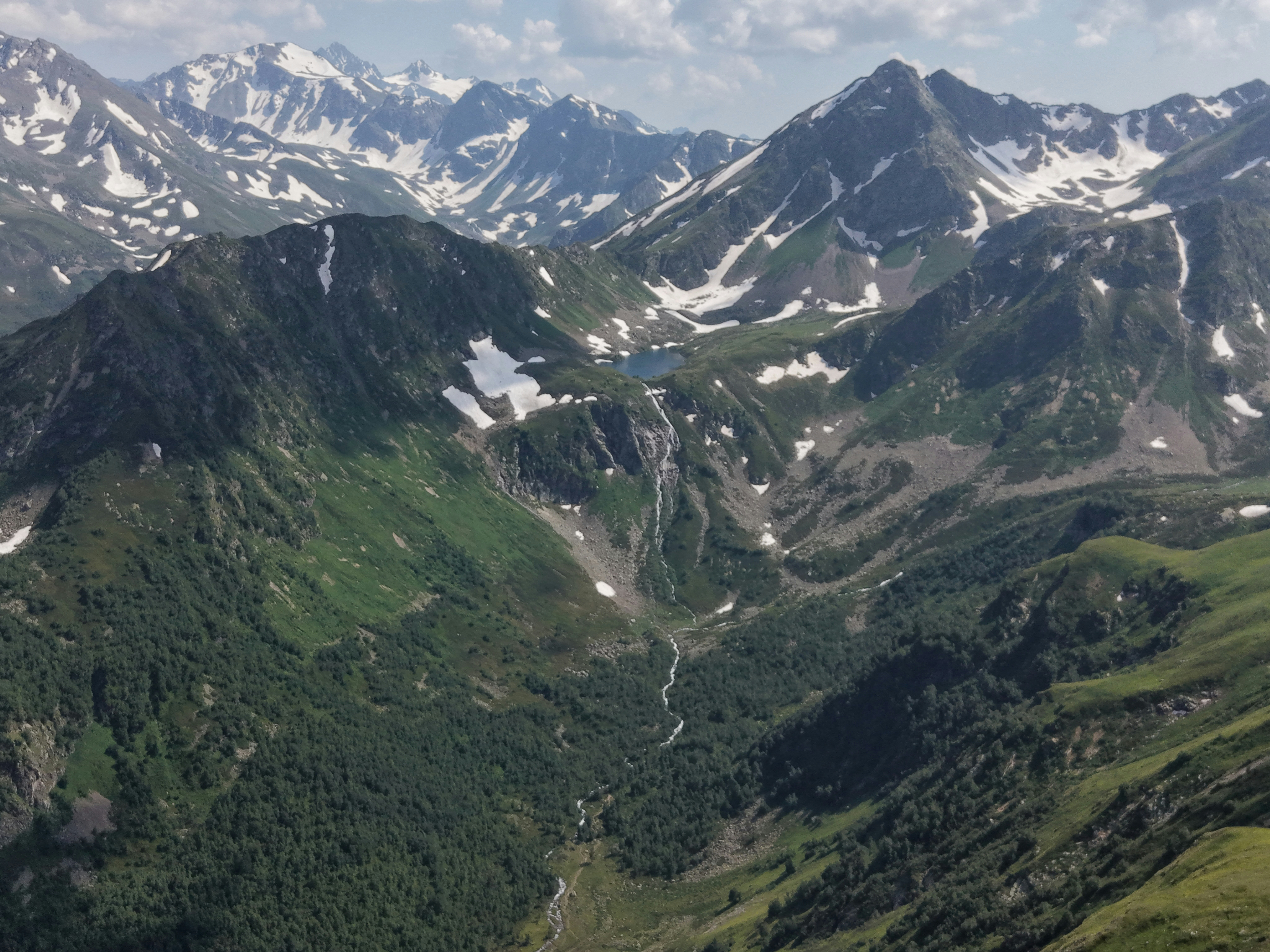Snow-capped Alps Spill into a Lush Green Valley