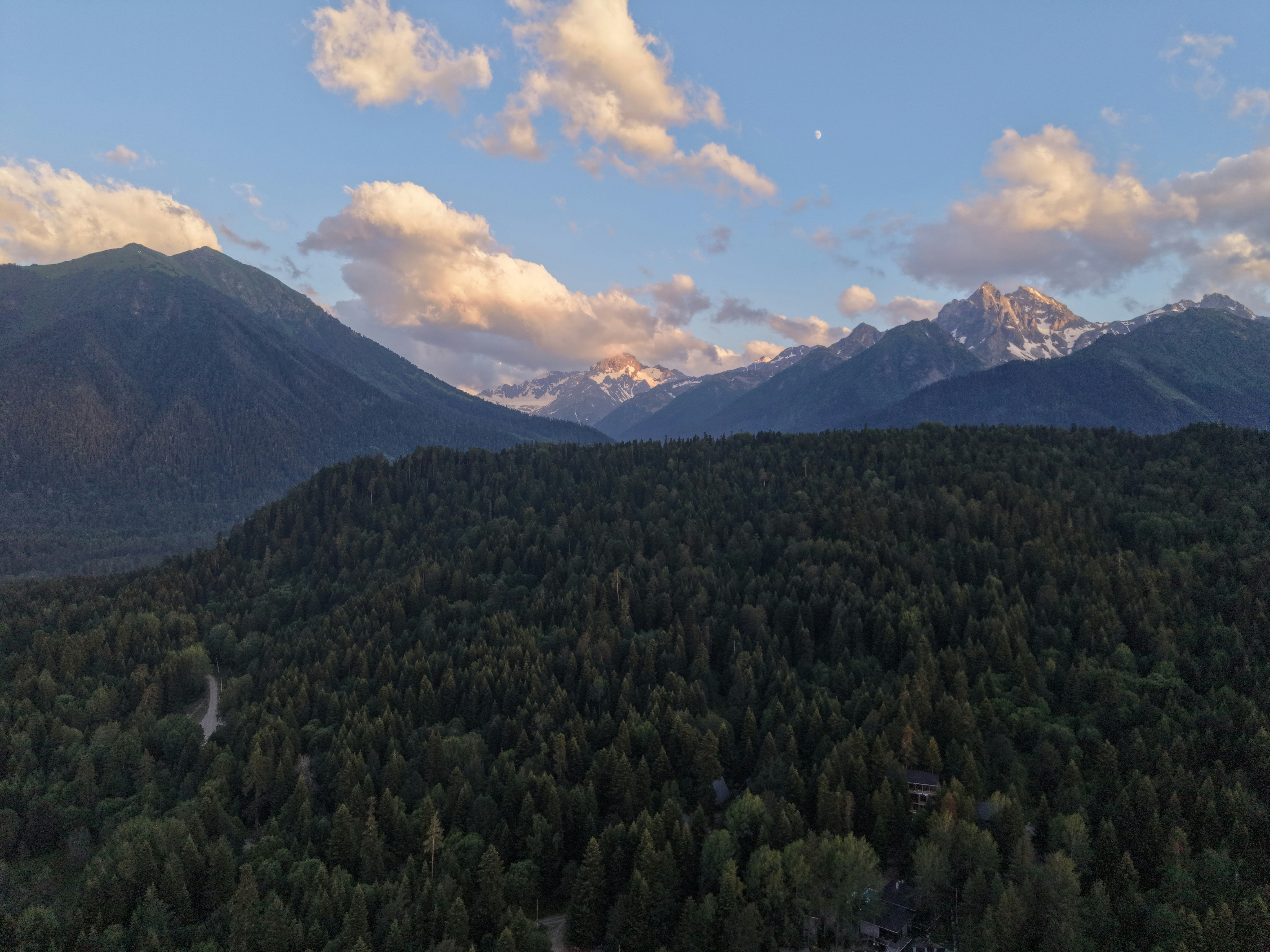 Dawn Over Alpine Pines: Snow-Kissed Peaks and Valley Mist