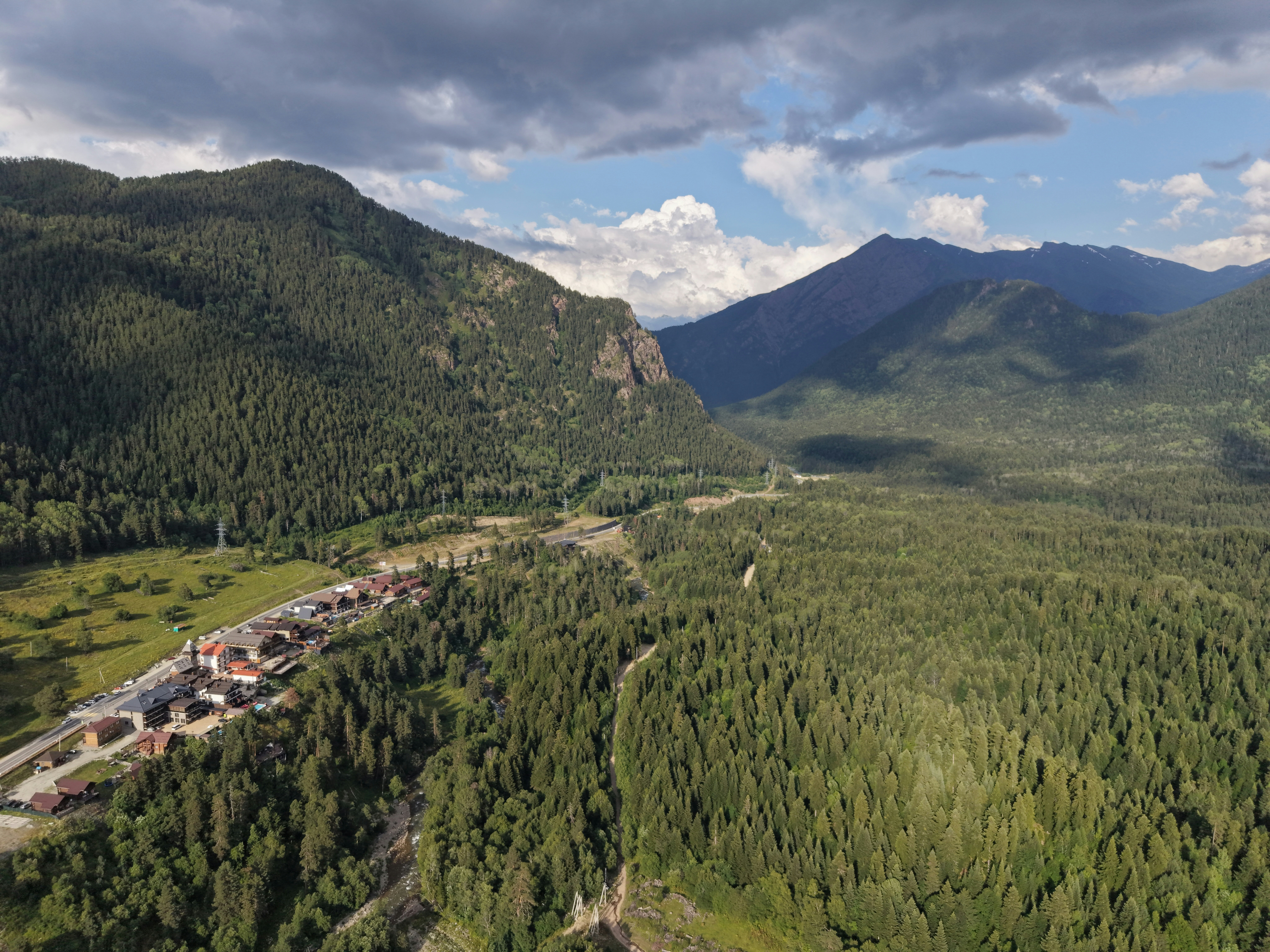Valley Road Between Pines and Peaks