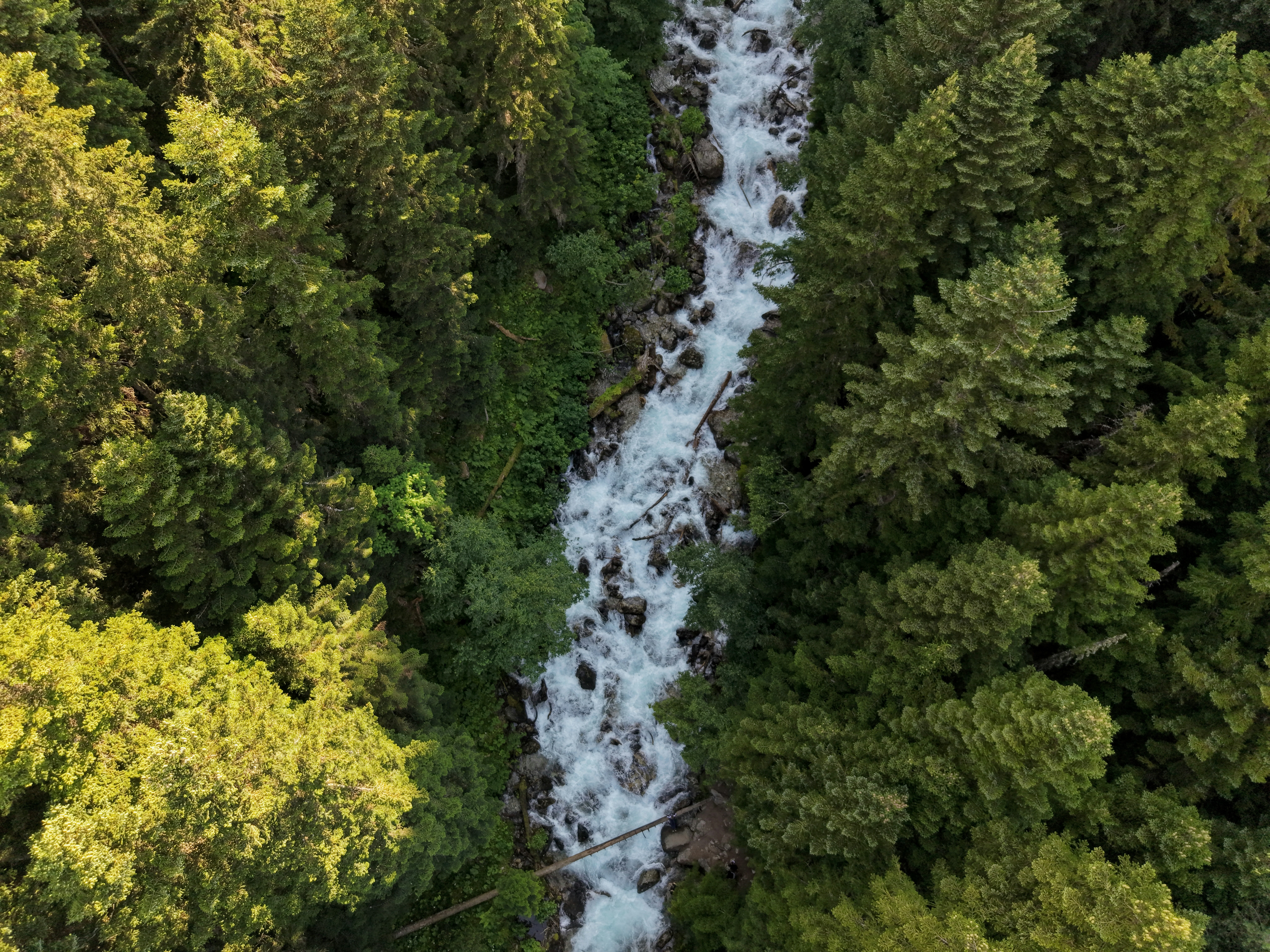 Forest Cascade: Aerial View Through Green Canopy