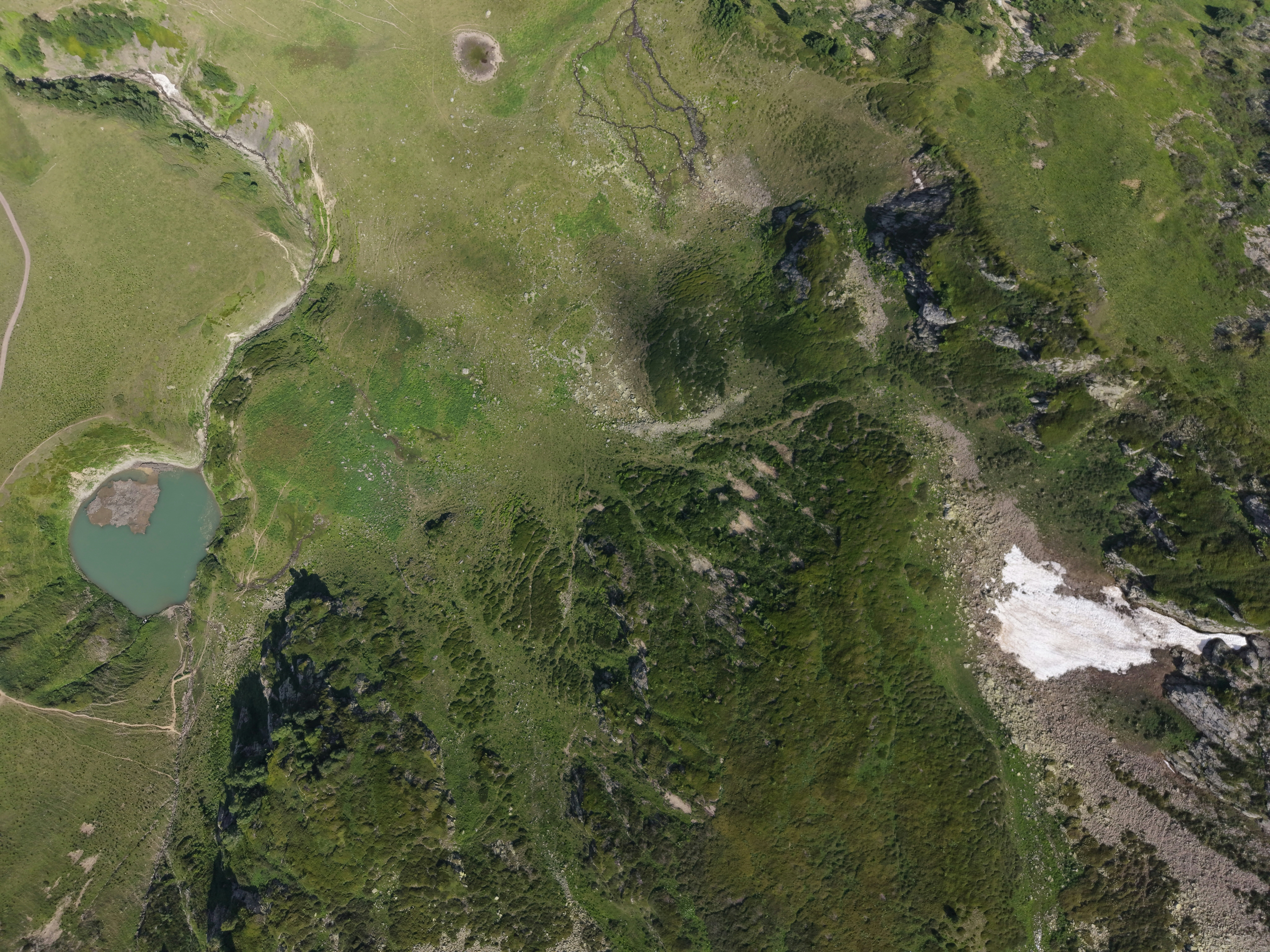 Rollercoaster of green: a high-altitude mosaic of meadows and crags