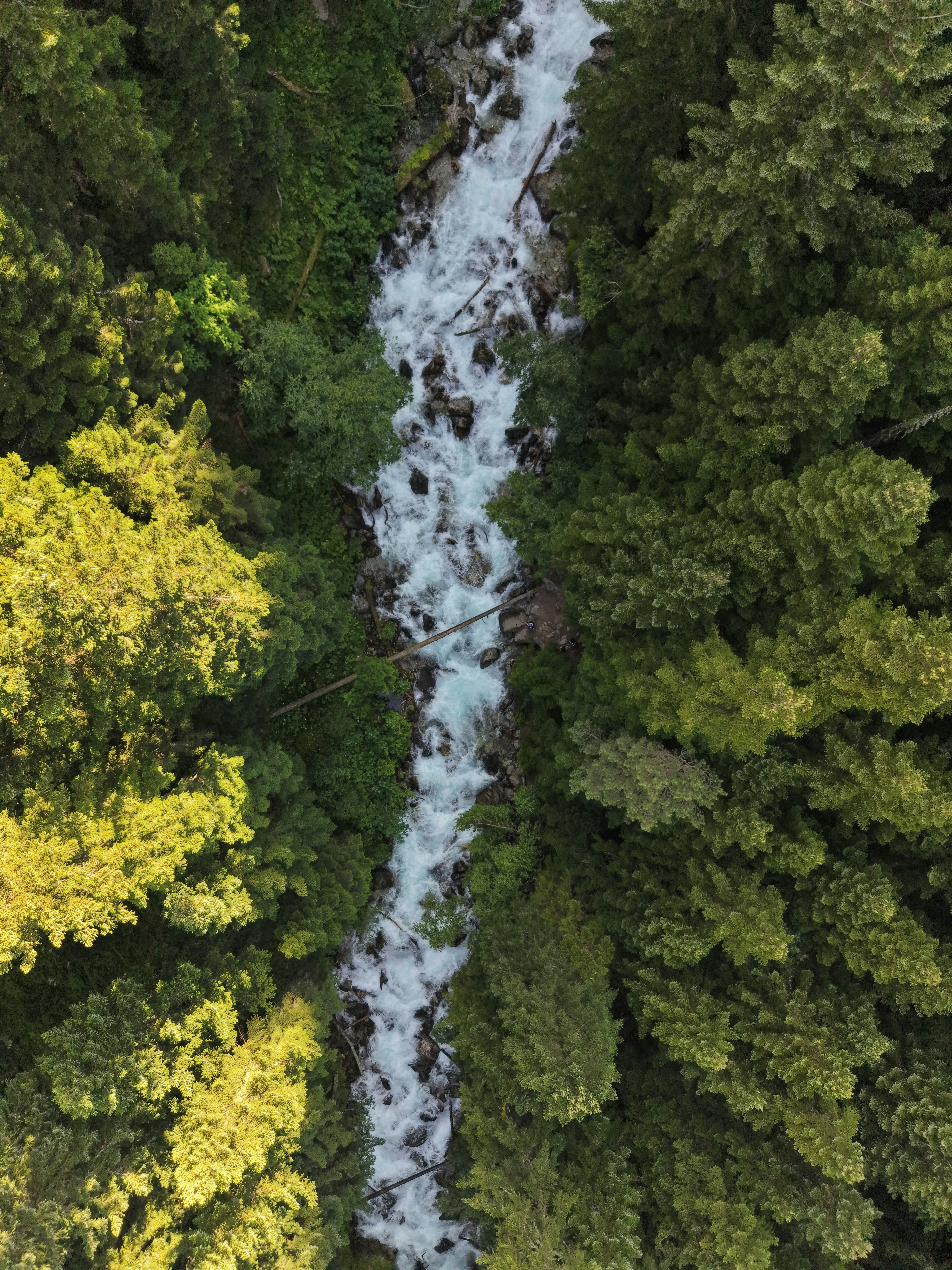  Cascading river thread through emerald cathedral