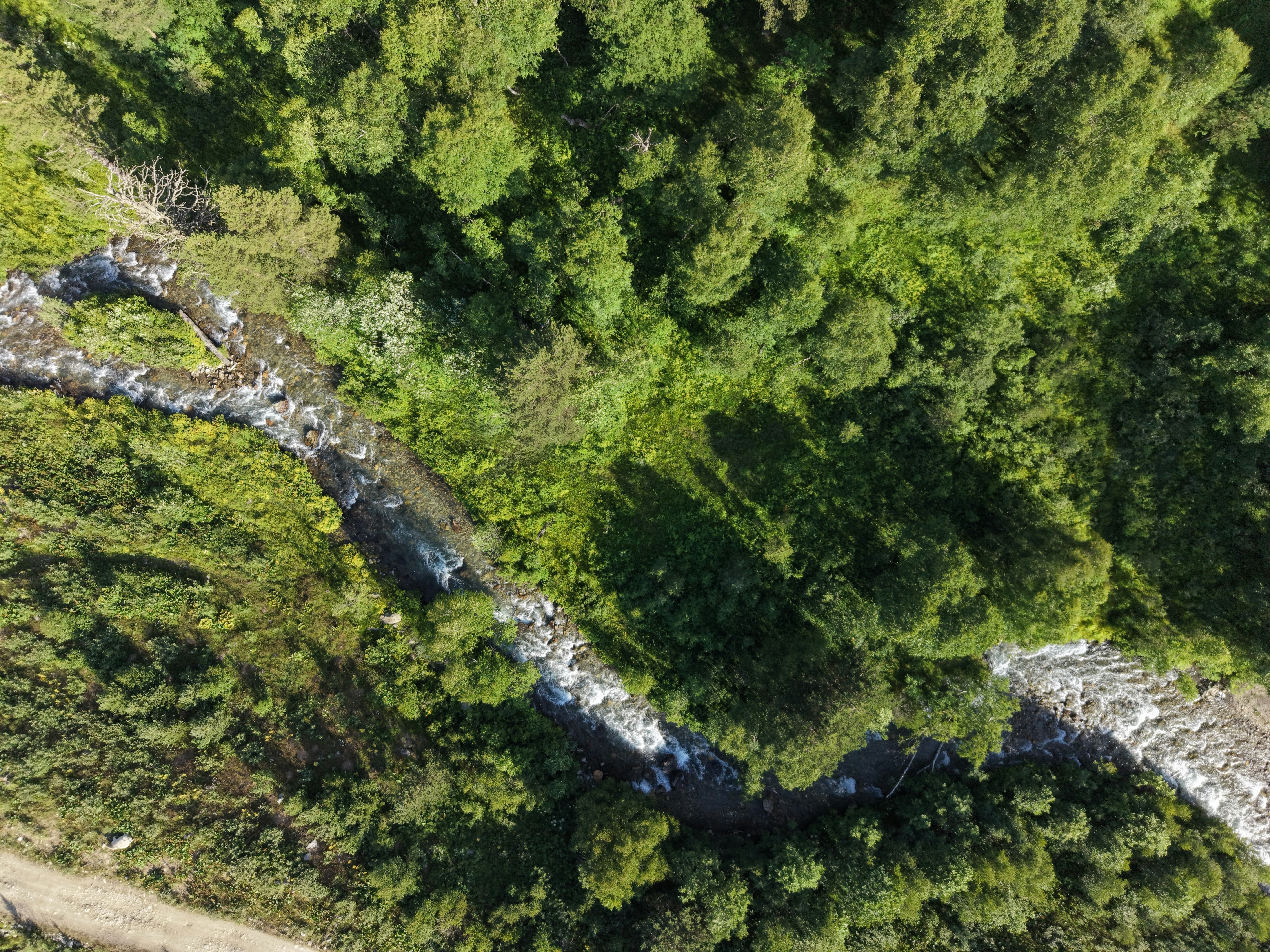 Aerial River of Stone Cutting Through Verdant Canopy