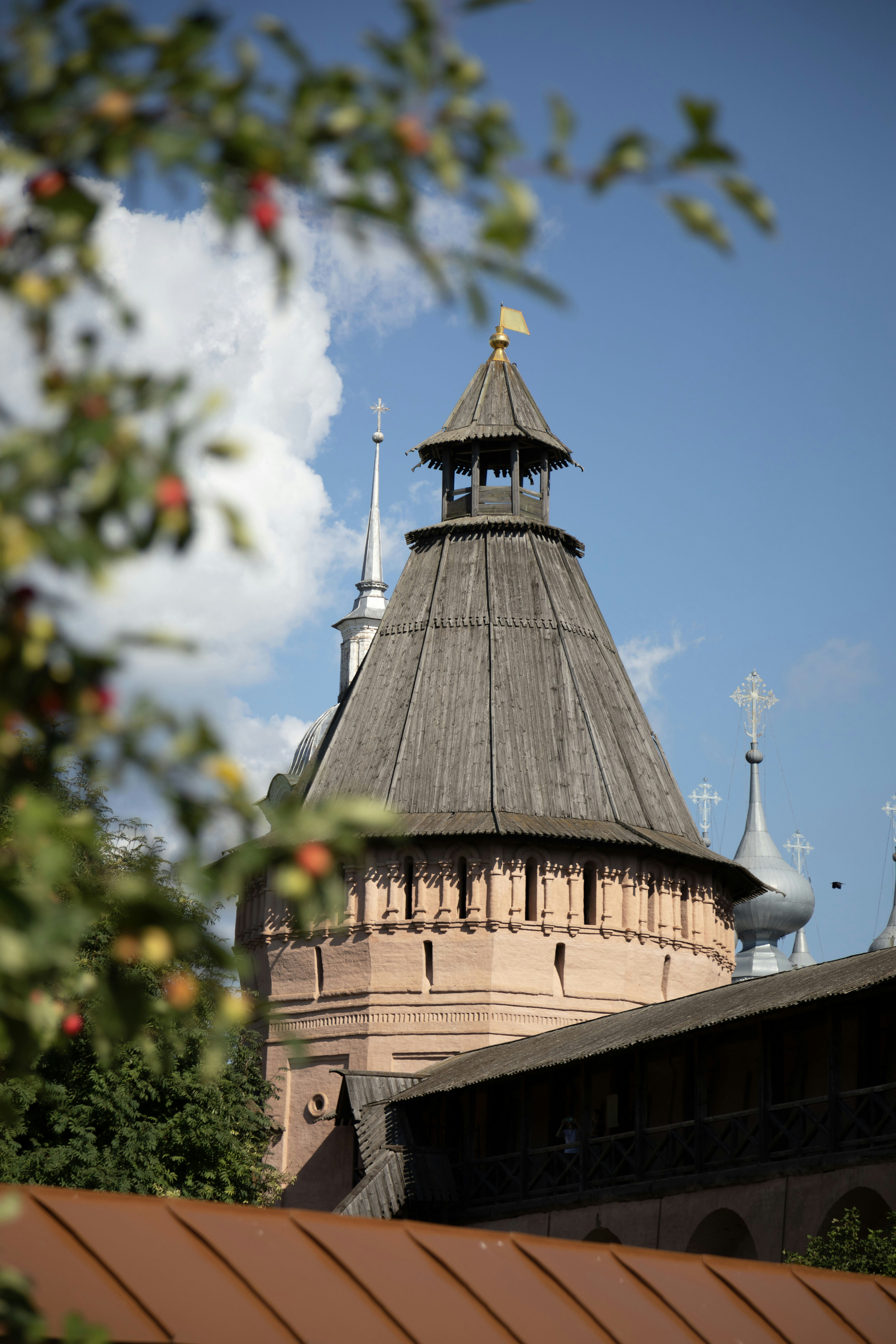 Towering Timbers and Soft Focus: A Wooden Dome Amid a Lively Sky