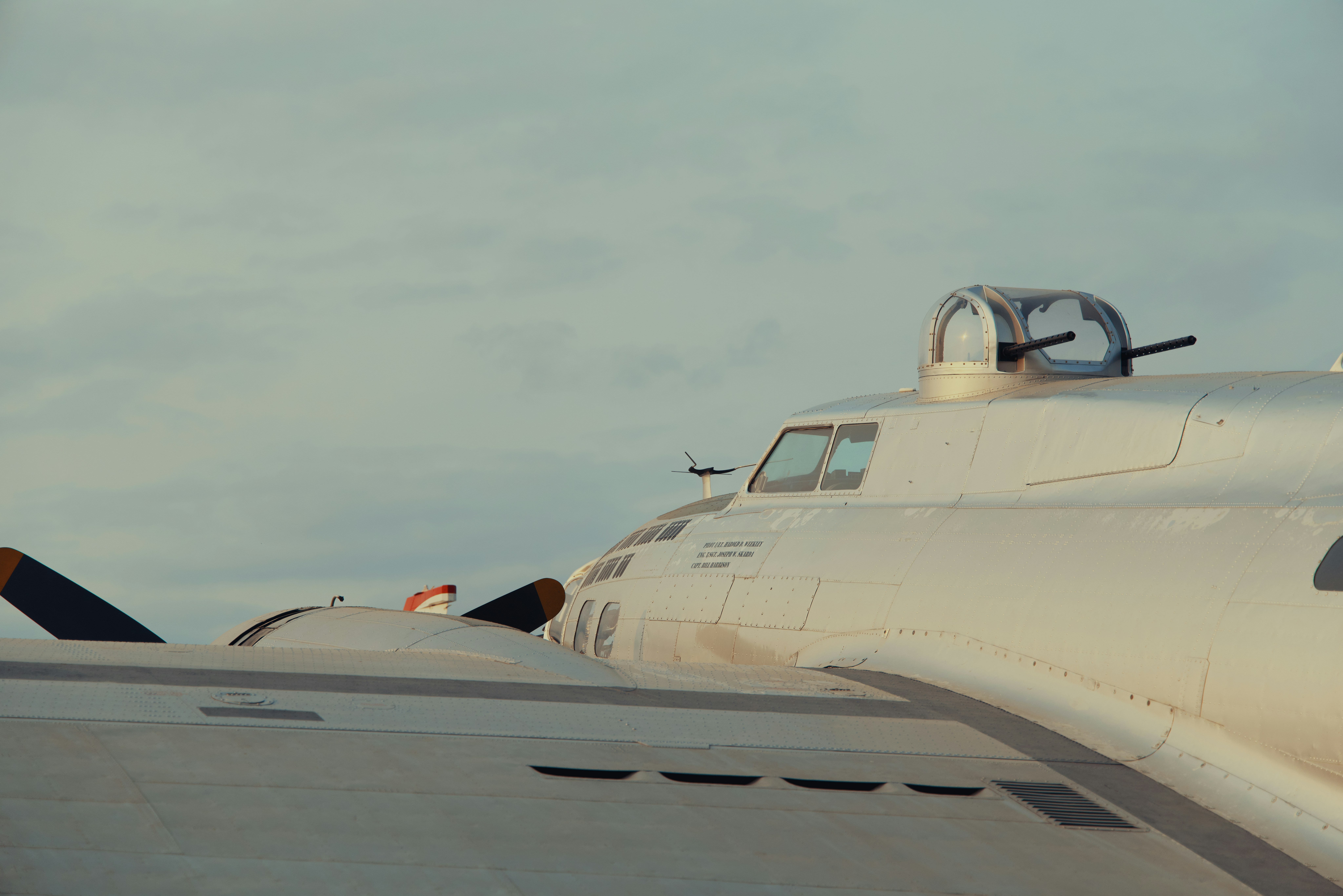 Winged Vigil: A Quiet Moment on the Nose of a Passenger Aircraft
