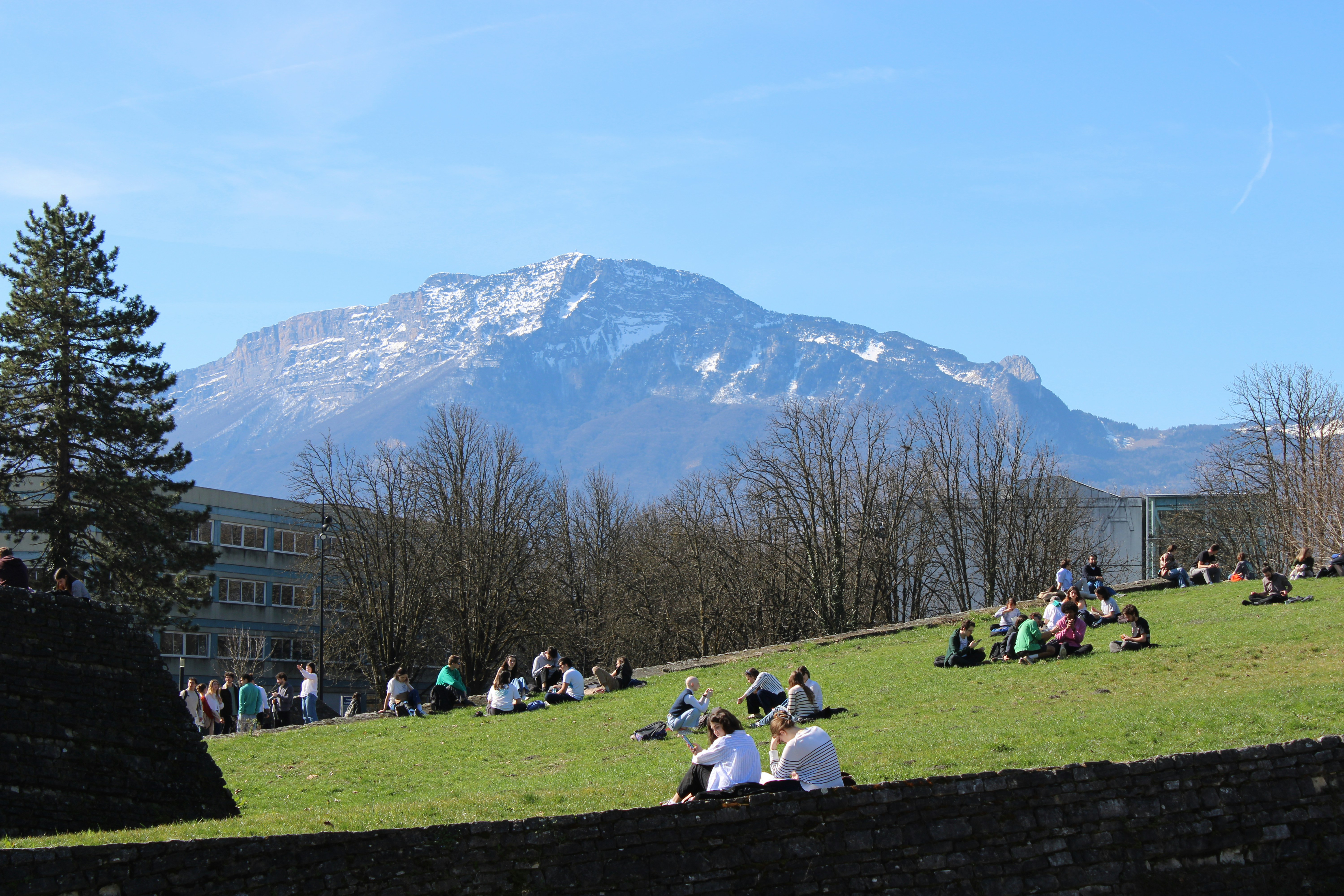 Sunlit hillside gathering with snow-capped mountains in the distance