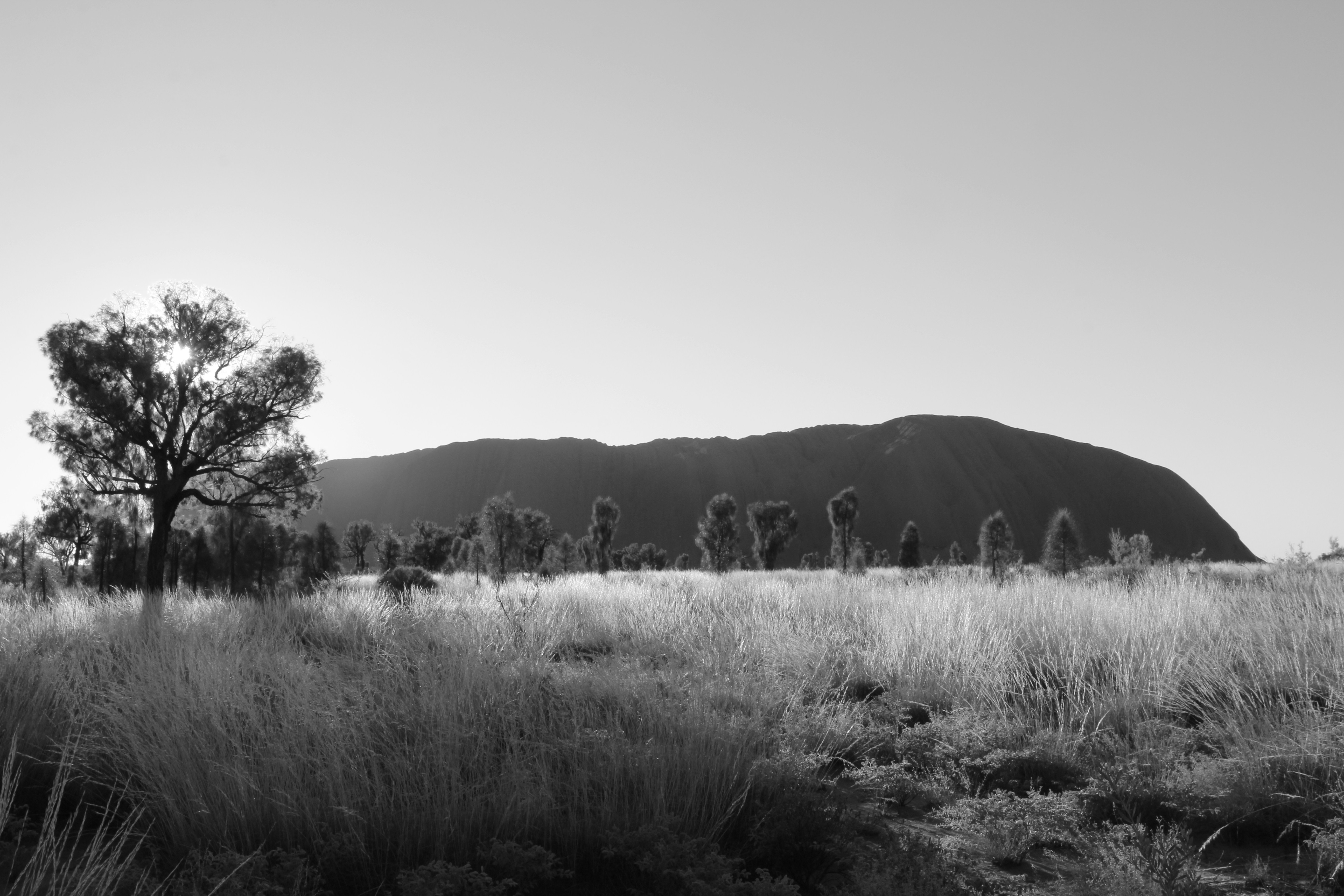 Quiet Grassland Under a Silent Peak