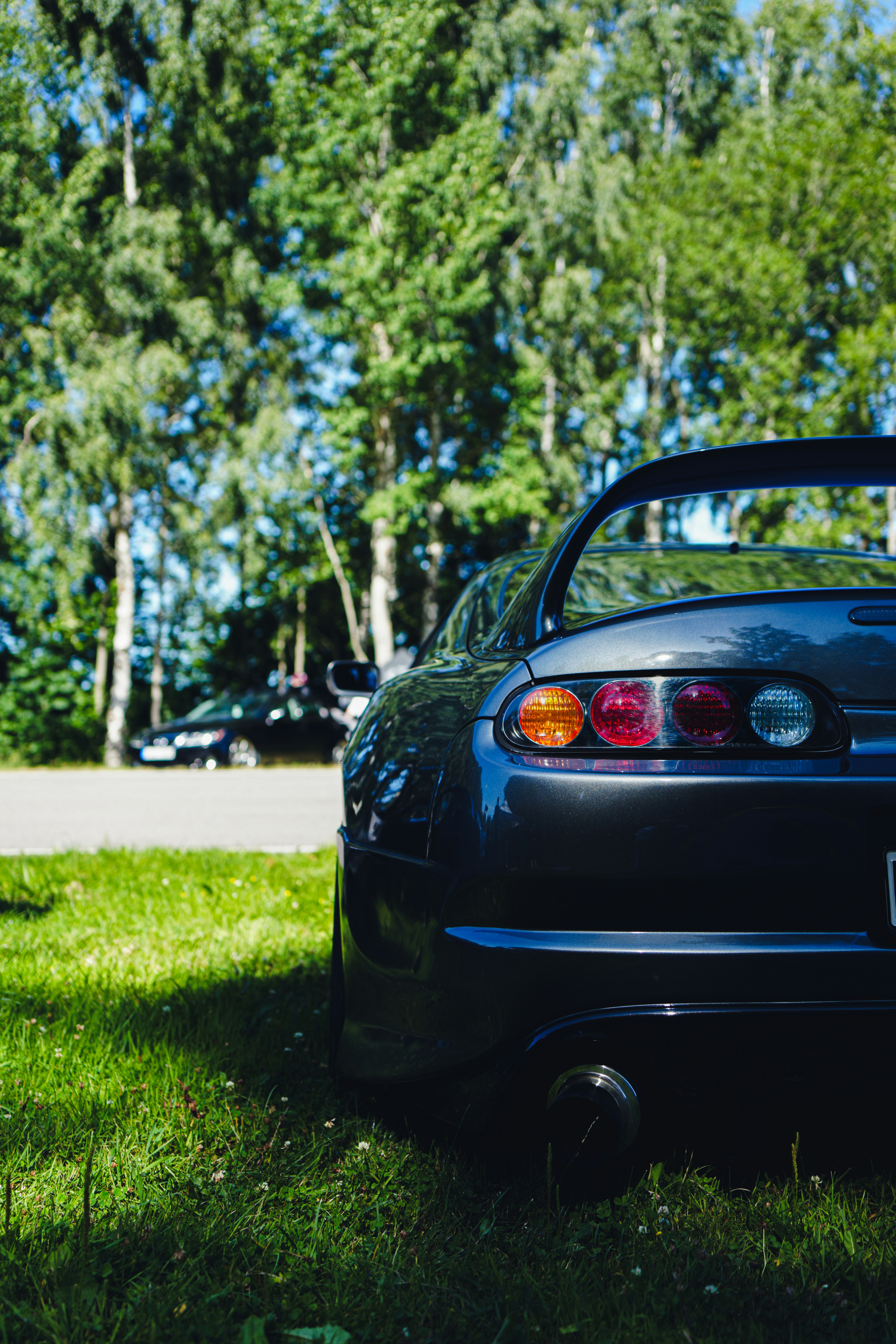 Rear-Quarter Car in a Quiet Park
