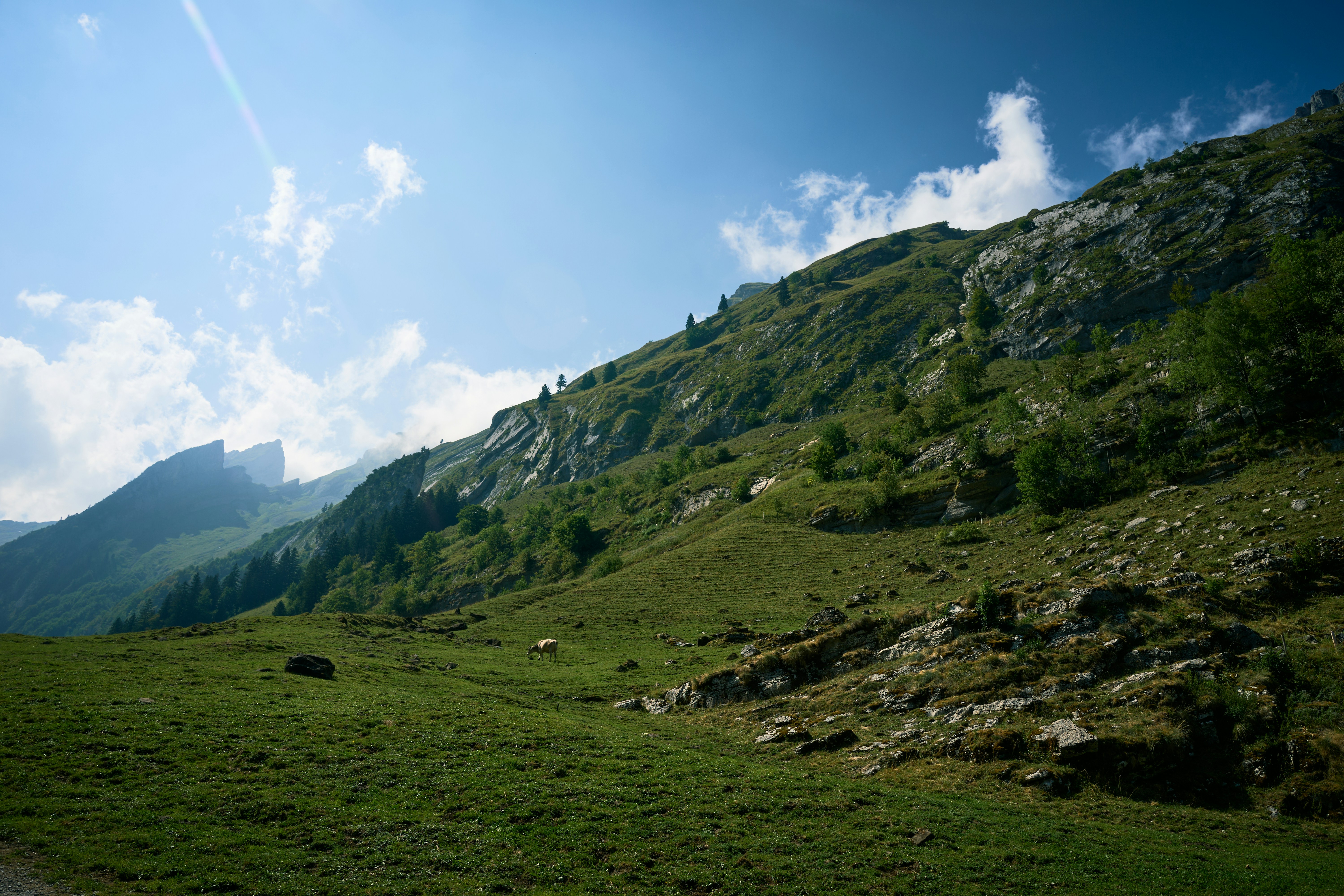Green Slopes Beneath a Rugged Ridge
