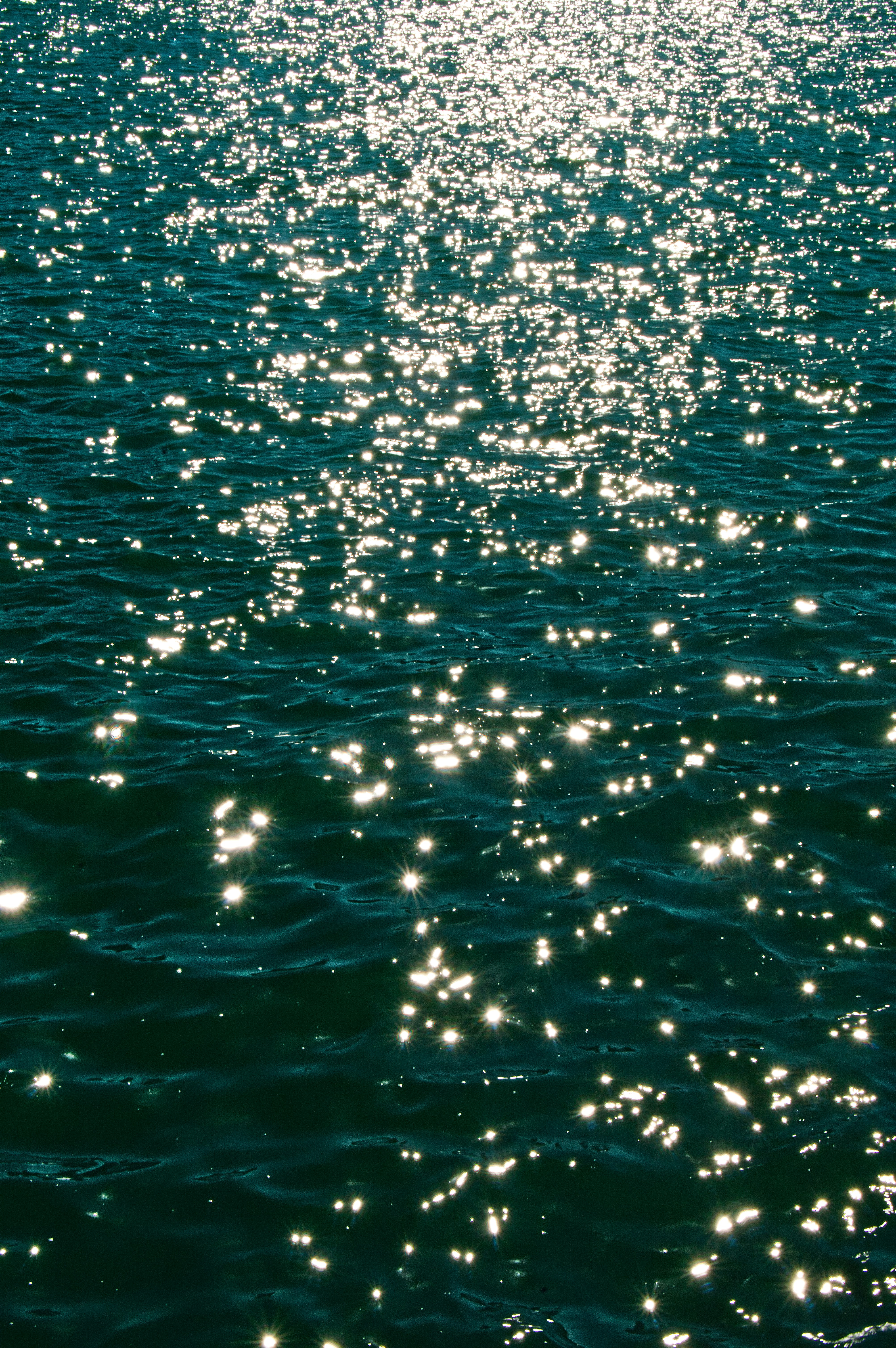 Glittering Tide: Sunlit Ripples on Open Sea