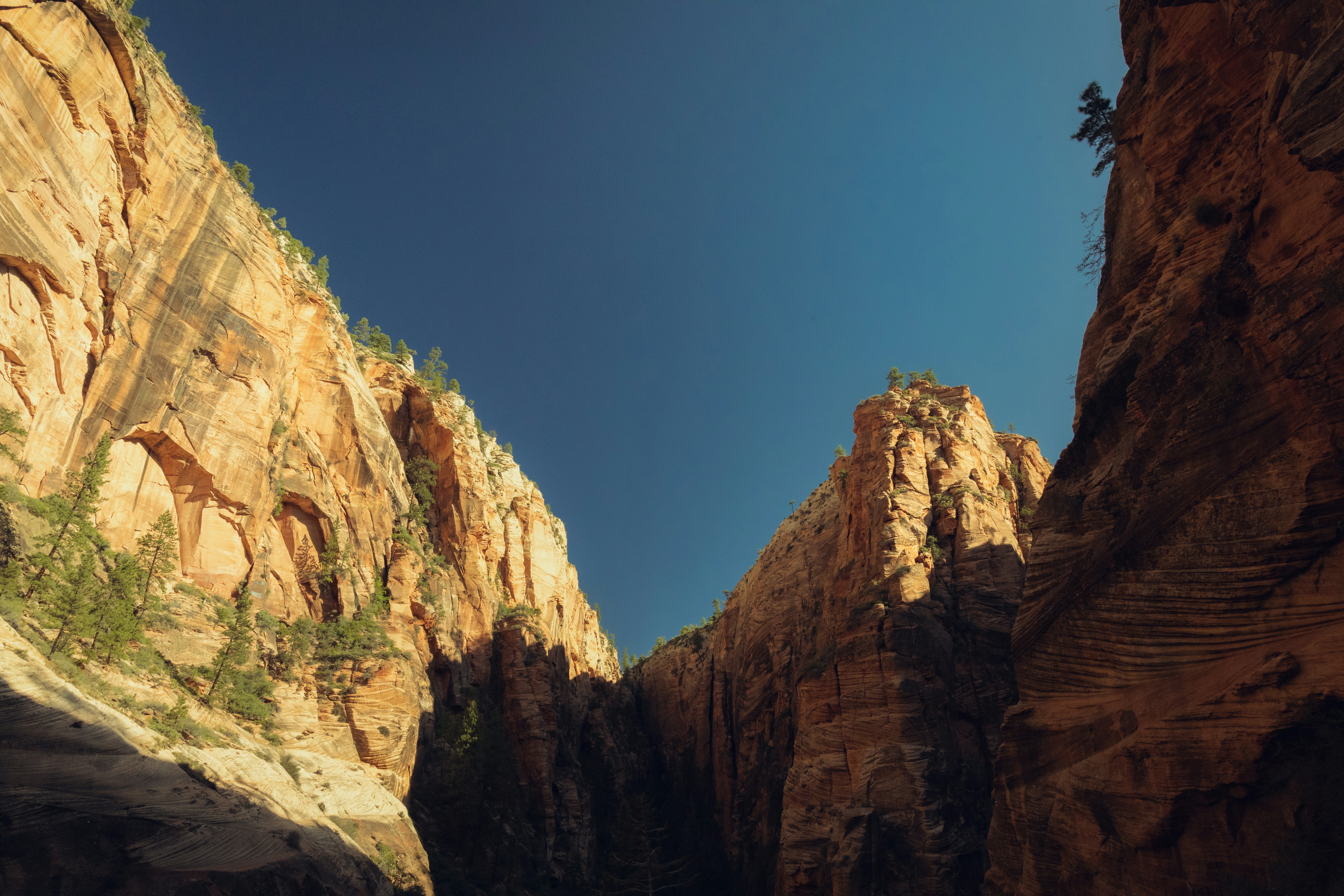 Skyward Canyon: Golden Light Between Weathered Walls