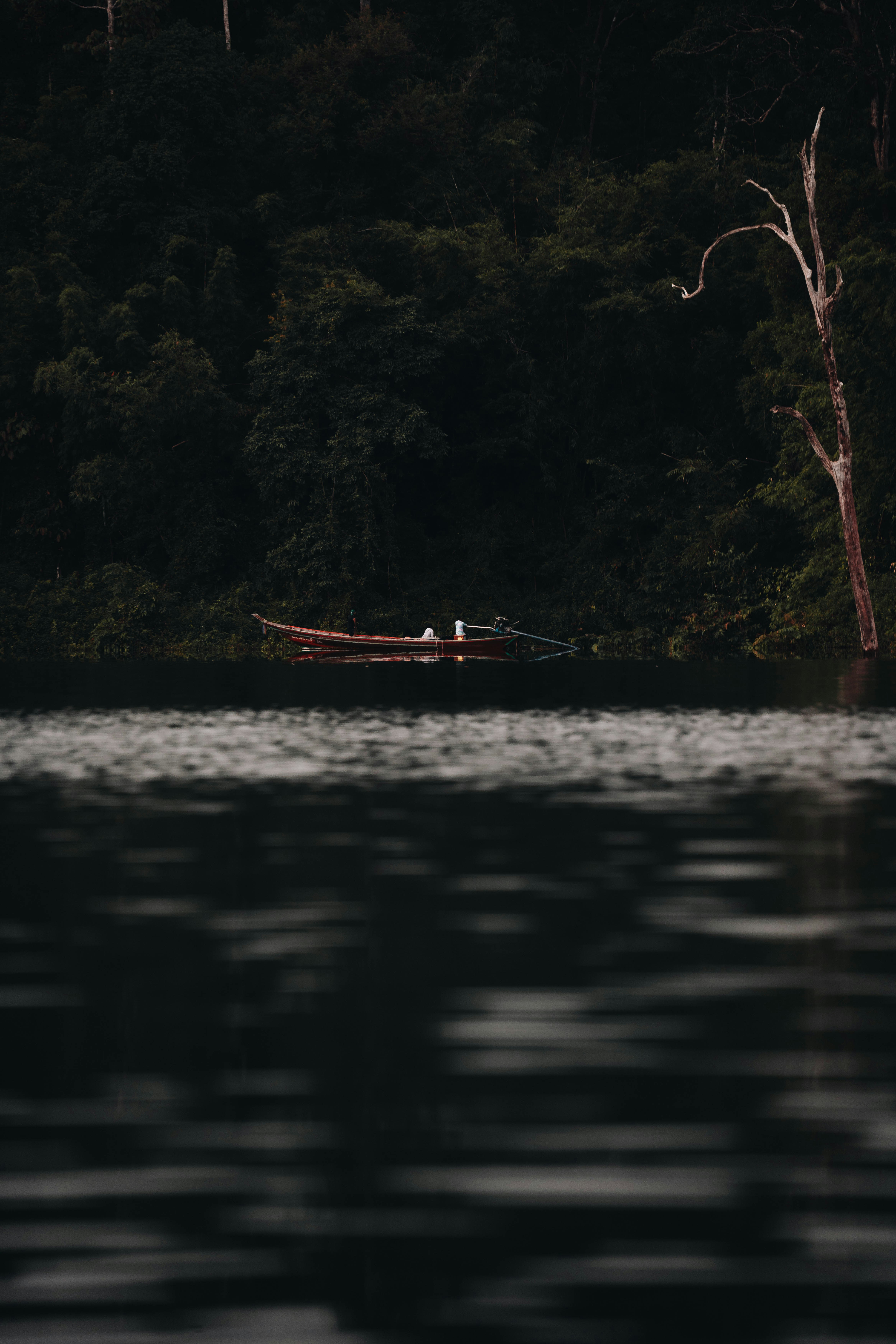 Silhouette of a Canoe Against a Dusk Forest
