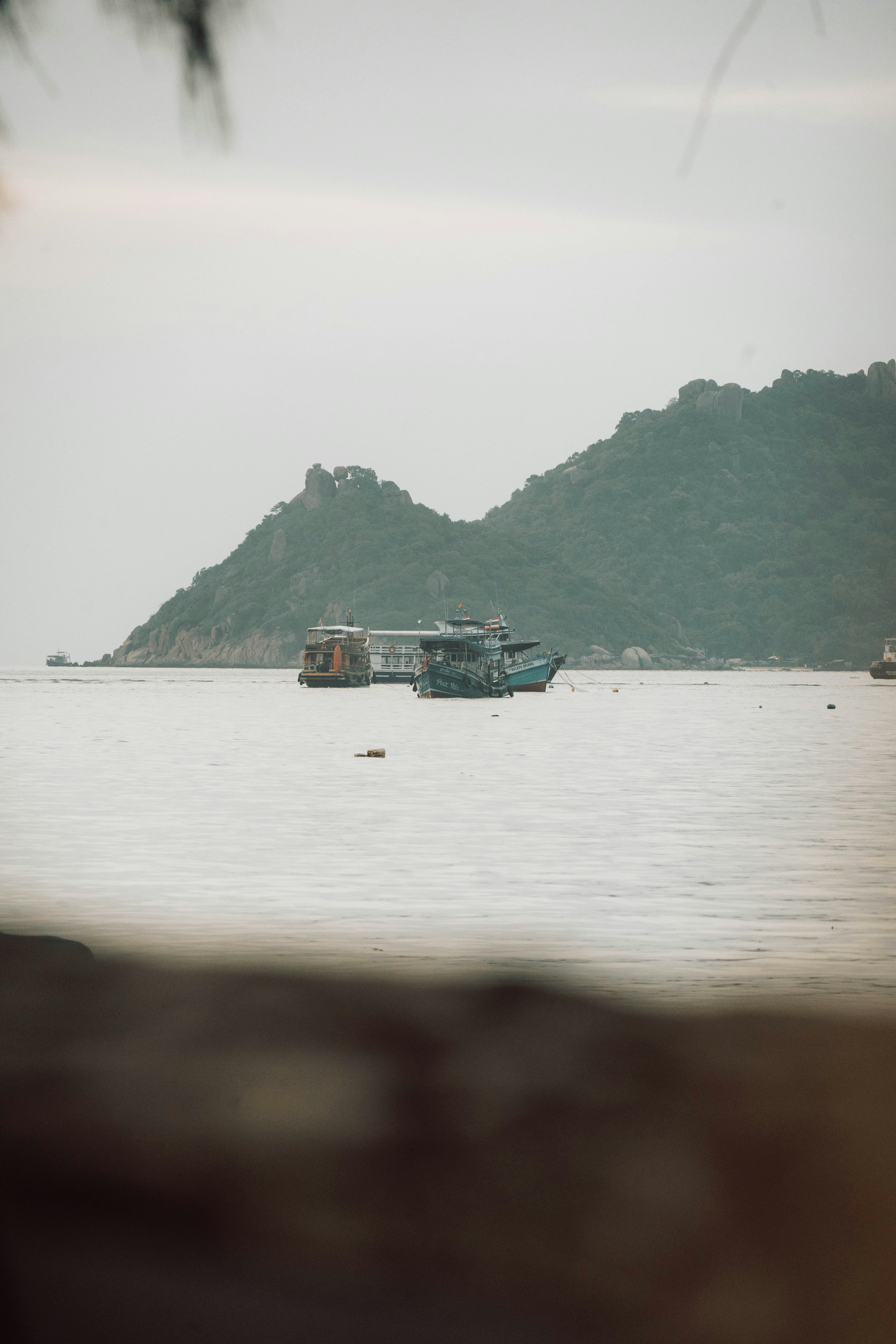 Harbor at Dusk: Boats Rest Against a Quiet Island