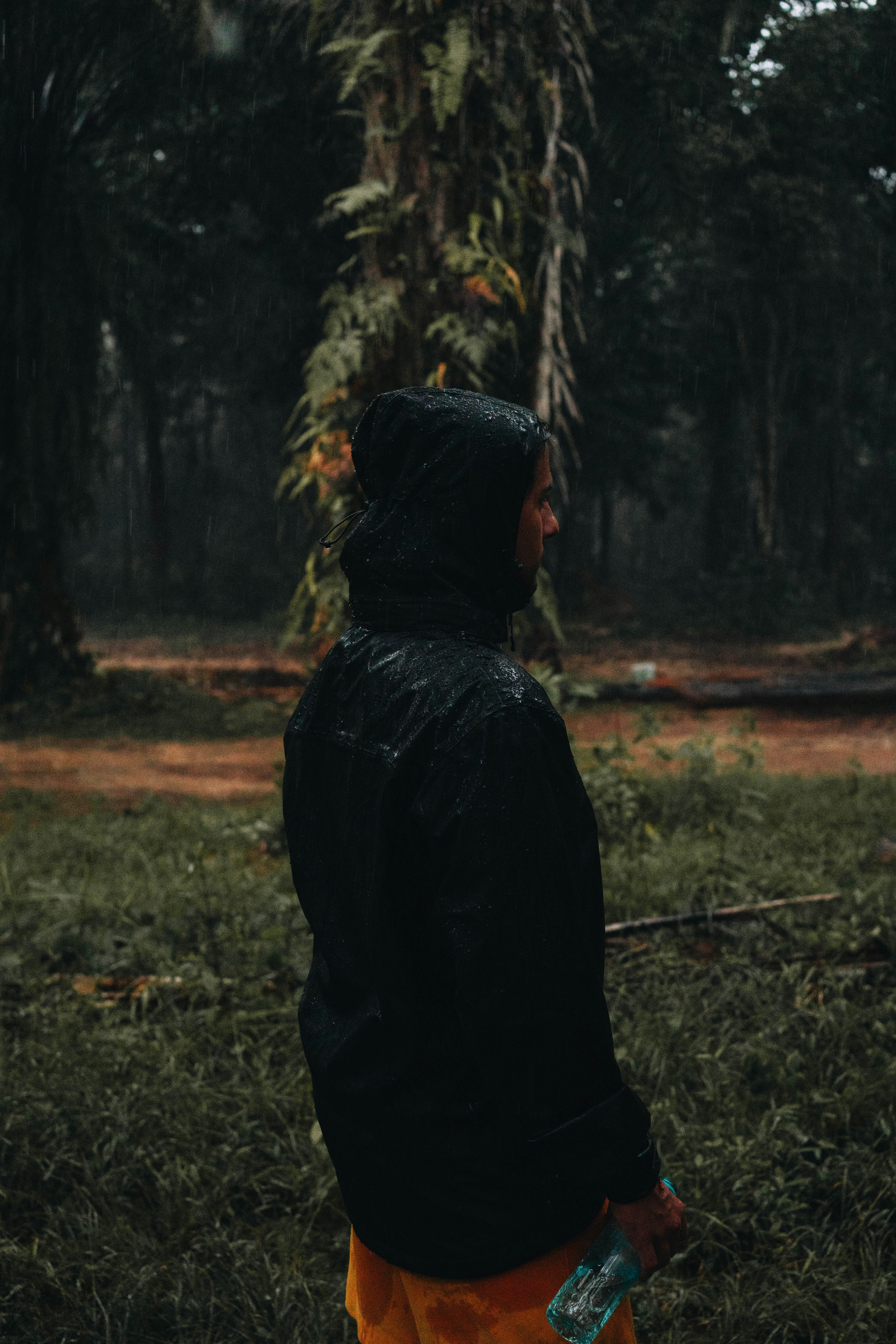 Rain-soaked silhouette in a forested drizzle