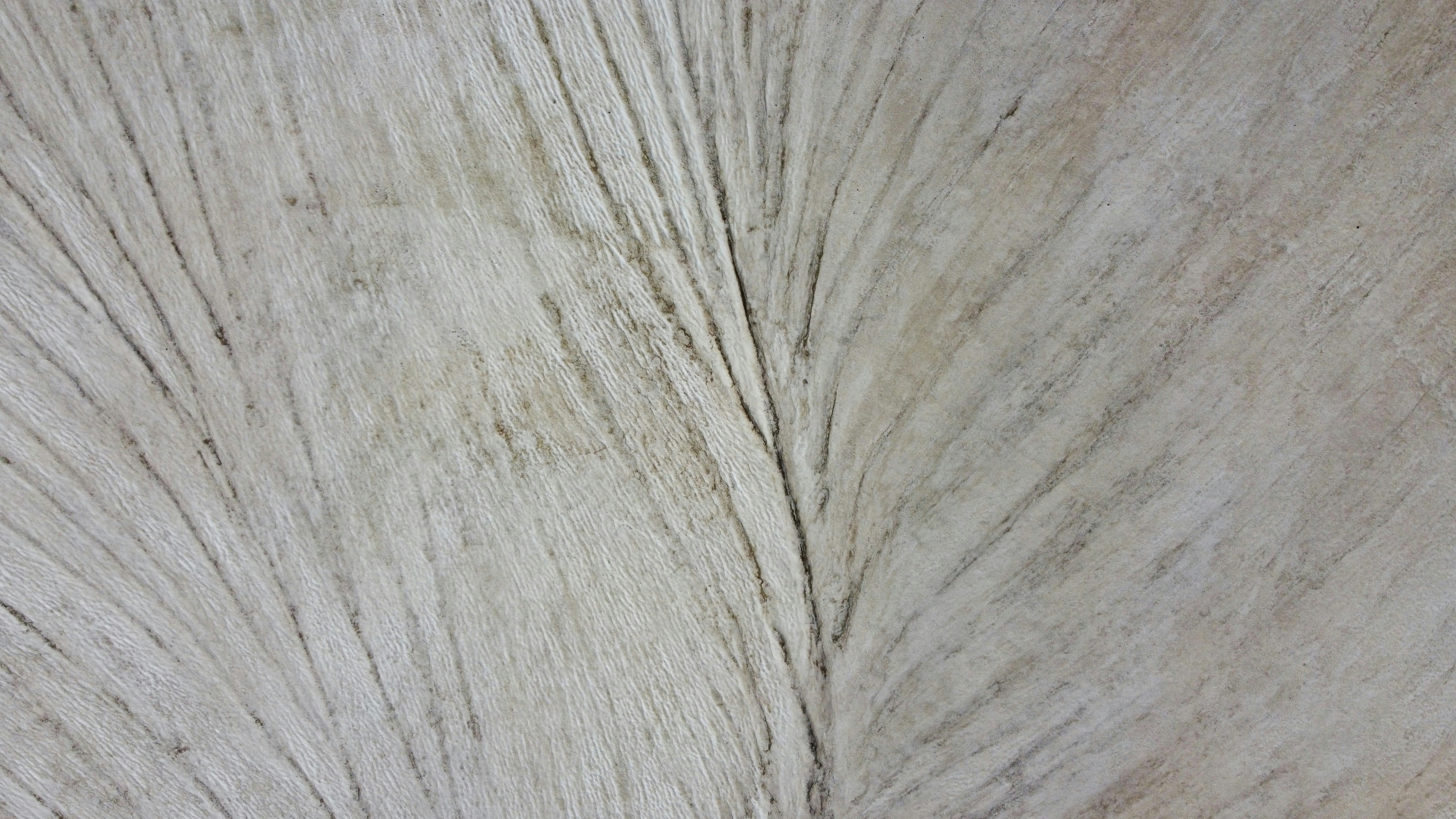 Radial Grain Convergence in Weathered Wood