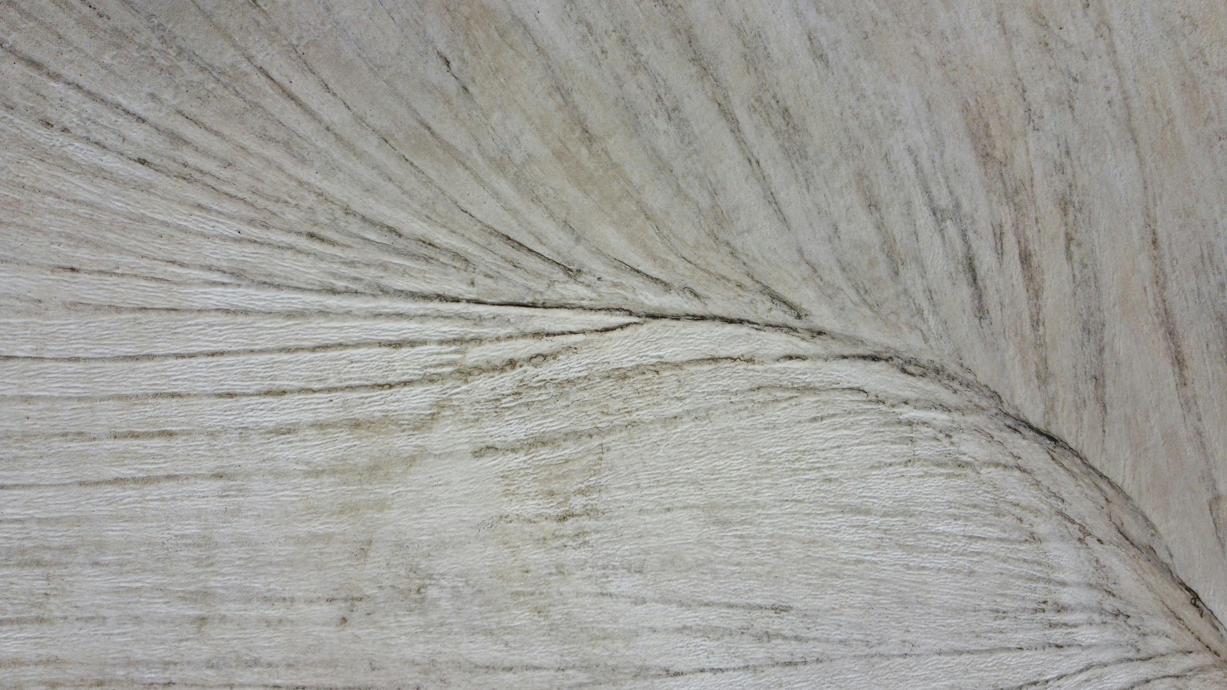 Whorled Grain: A Close-Up Study of Wood Texture and Curved Grain