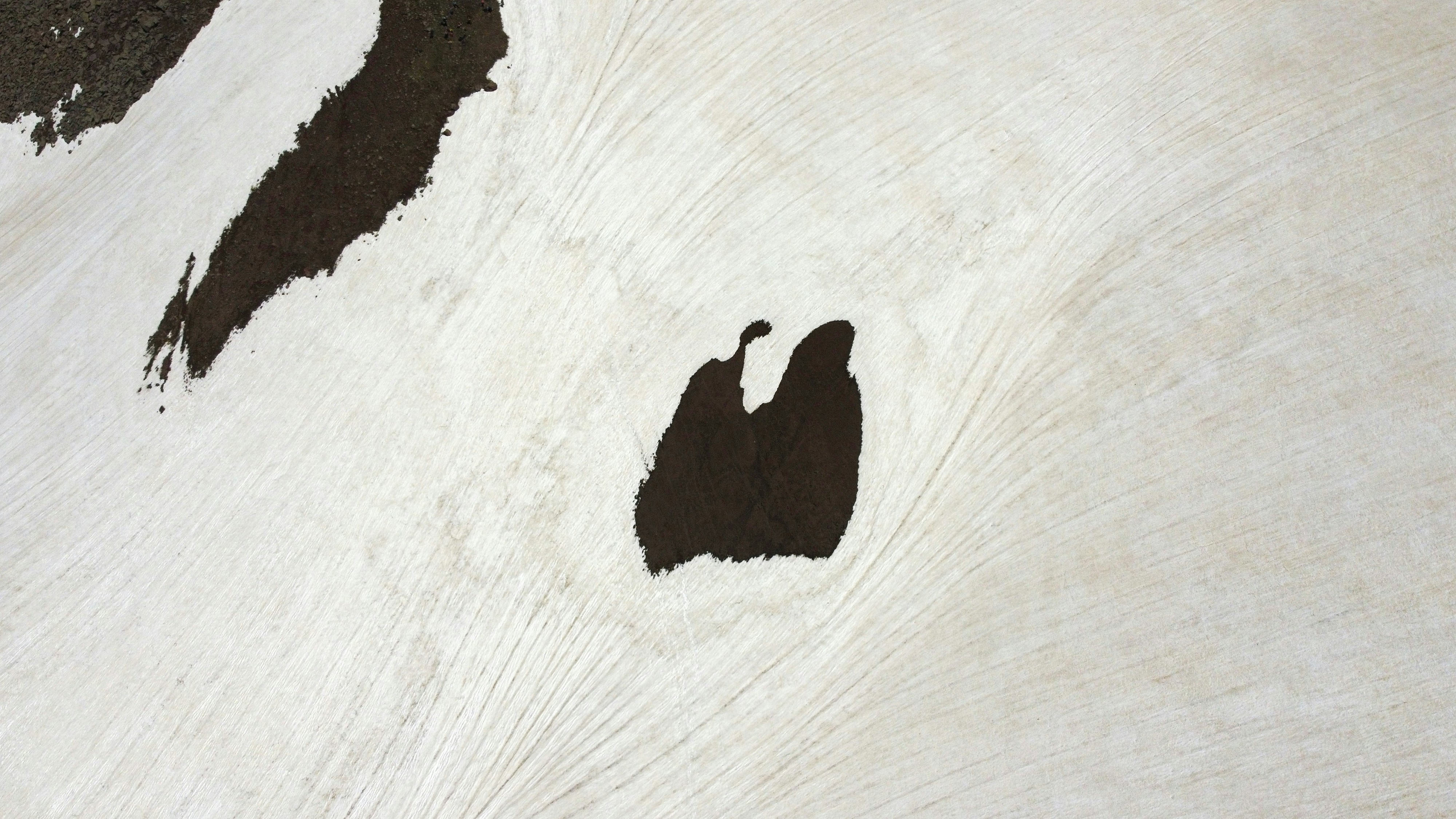Snowbound silhouettes: a lone rock stamp on pale wind-sculpted snow