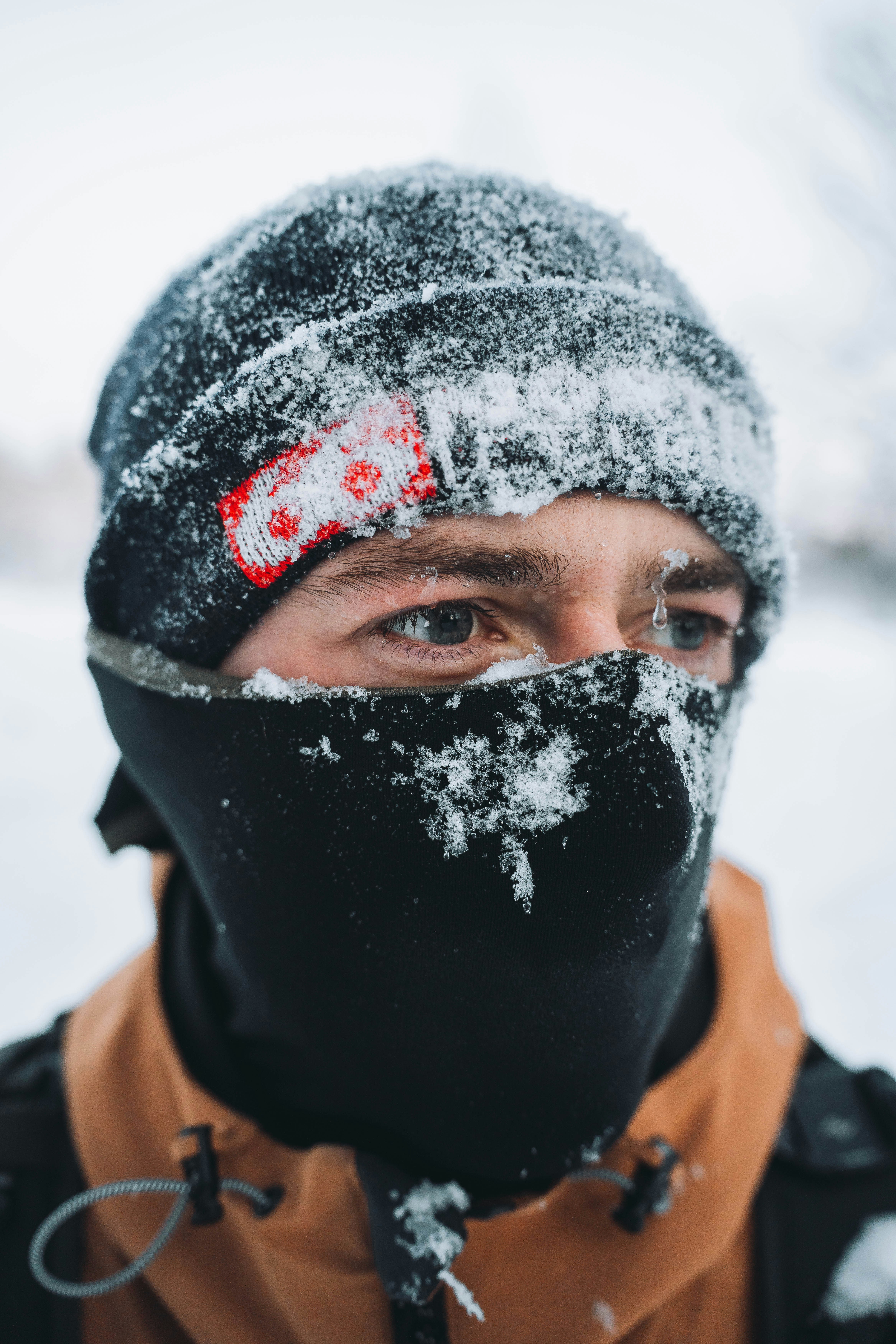 Snowbound Gaze: A Winterscape Masked in Cold Focus