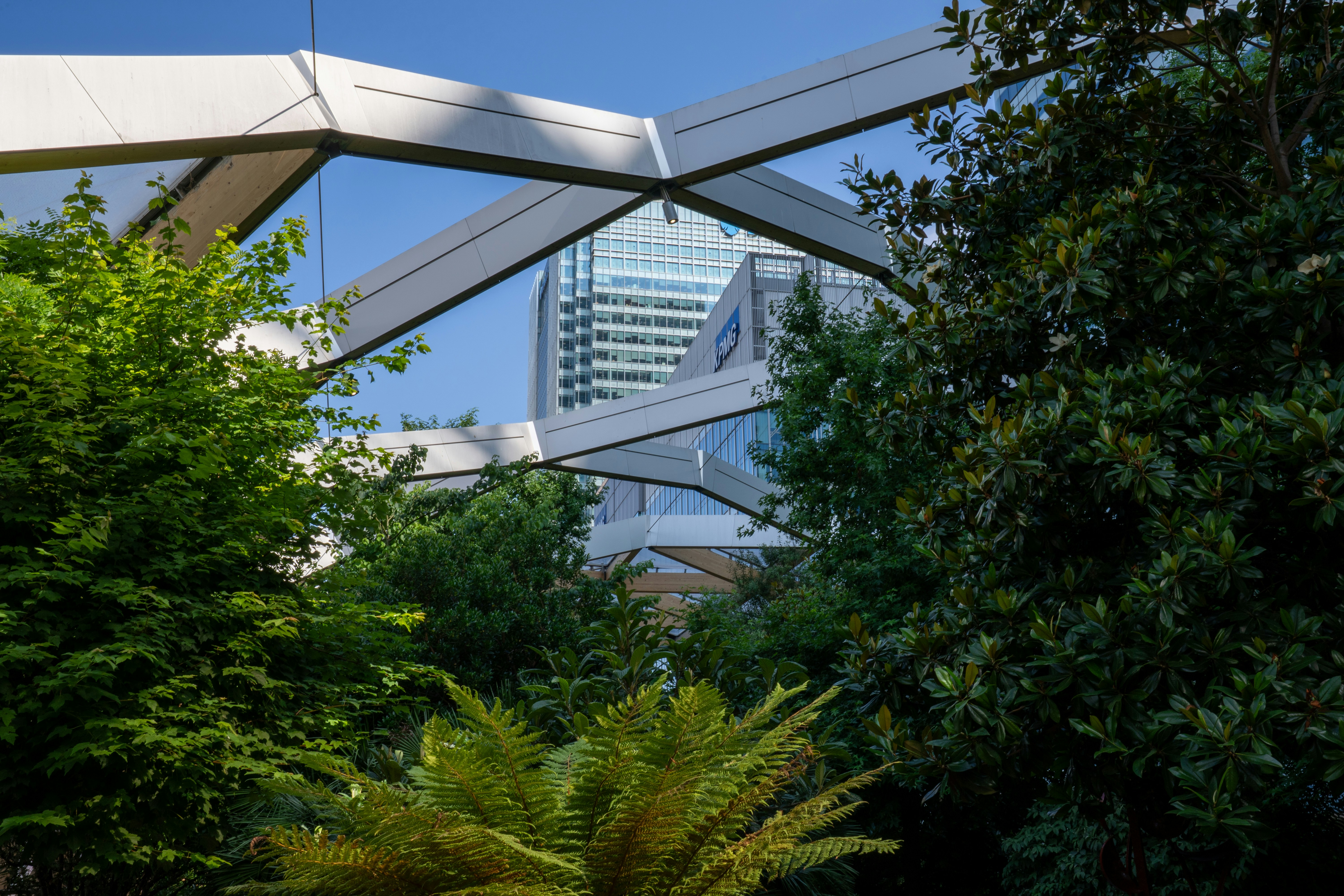 Architectural Glass Frames Framed by Green Canopy