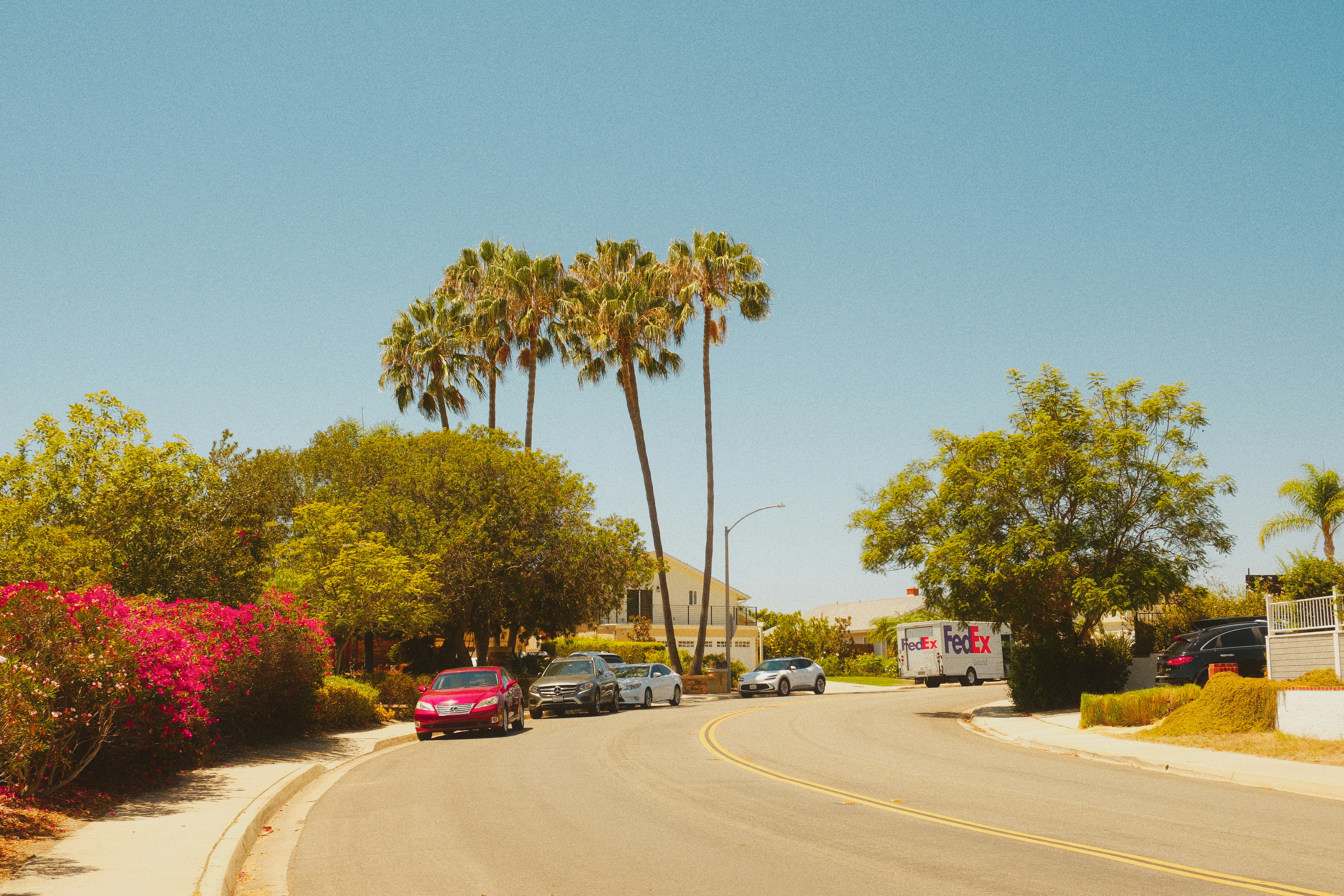 Palm-lined Desert Avenue Approaches
