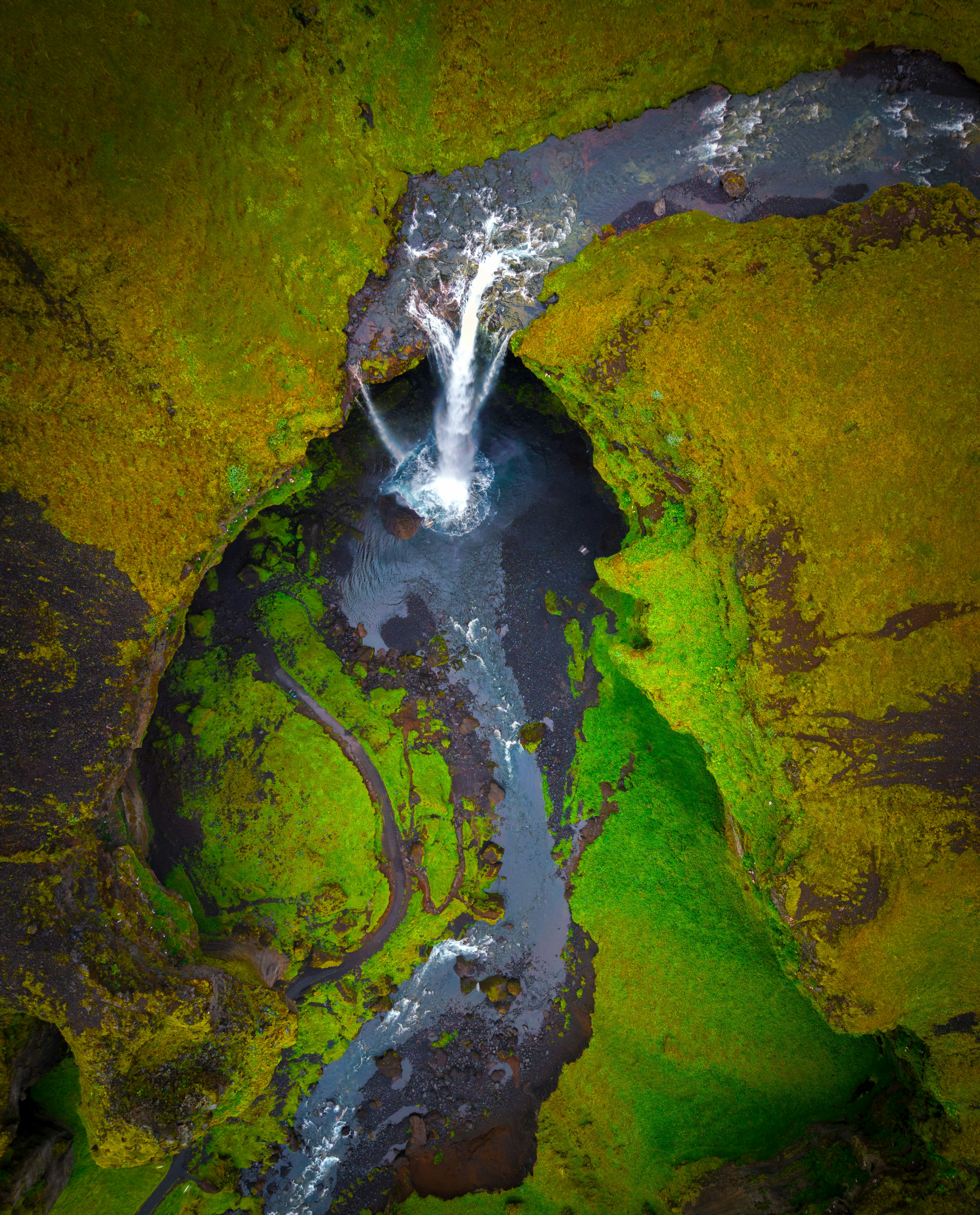Verdant Channel: Aerial Veins of Mossy Canyon