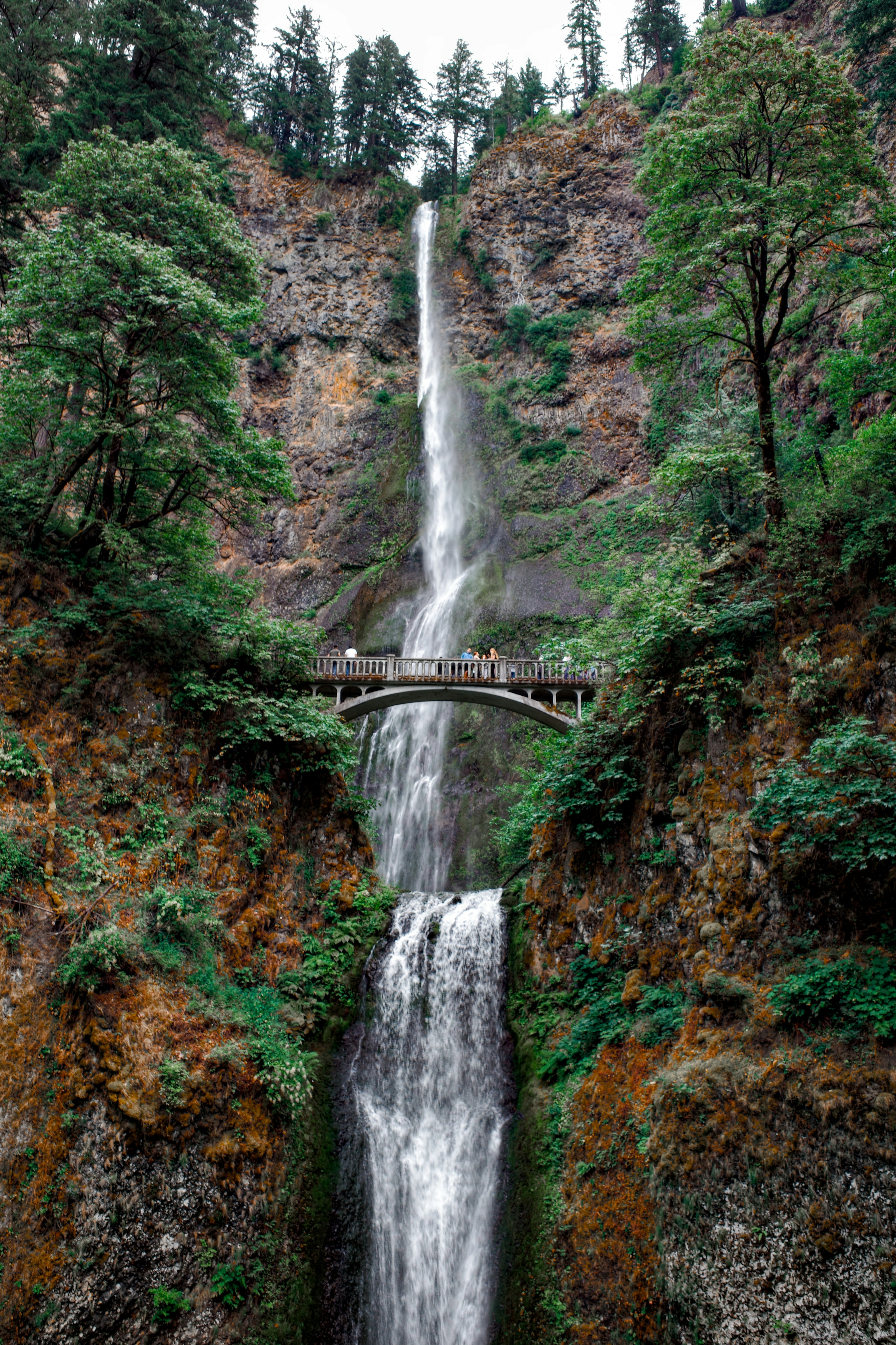 Waterfall Overlook: A Narrow Cascade Beneath a Stone Arch