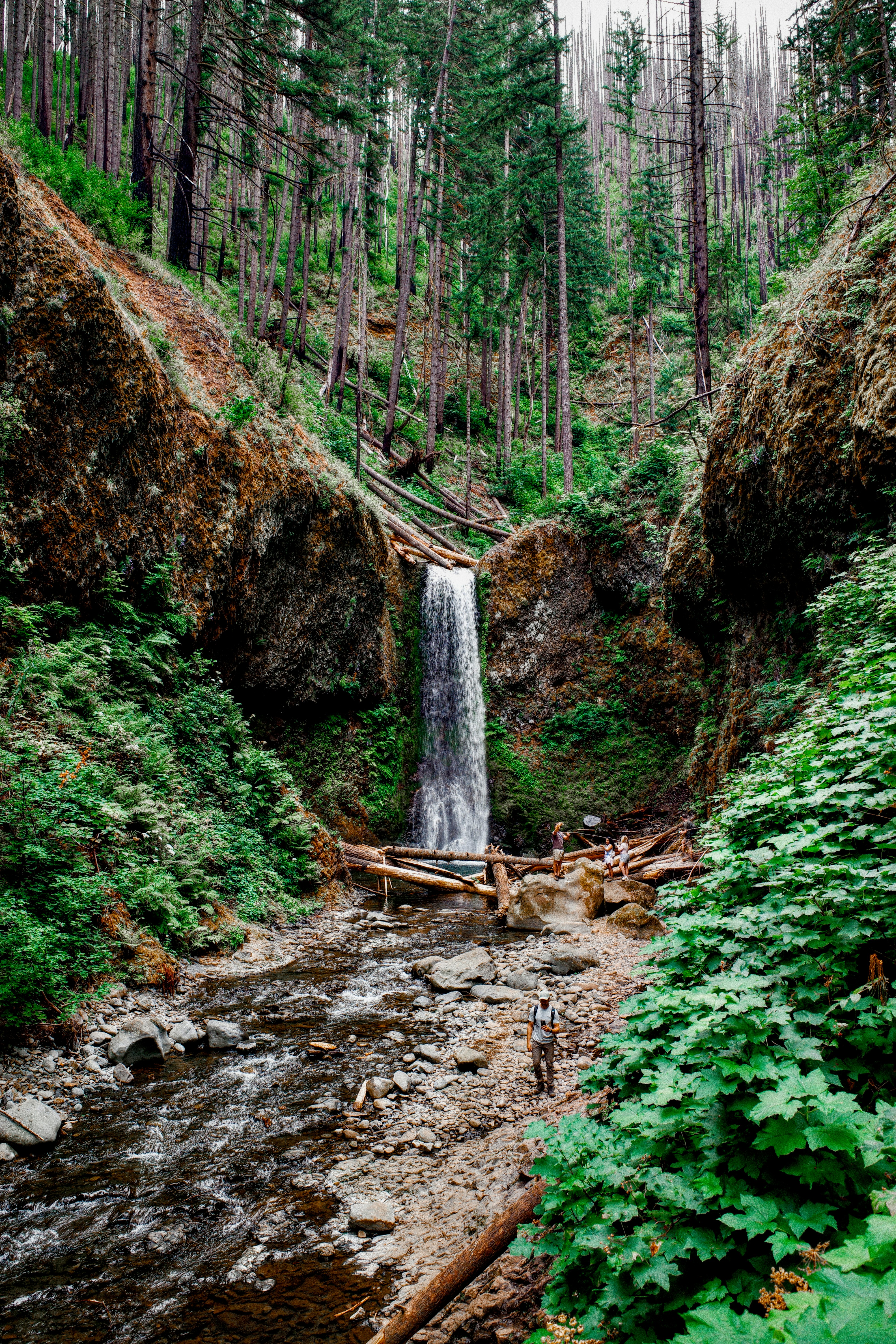 Waterfall Forest photo shot on Ricoh GR III