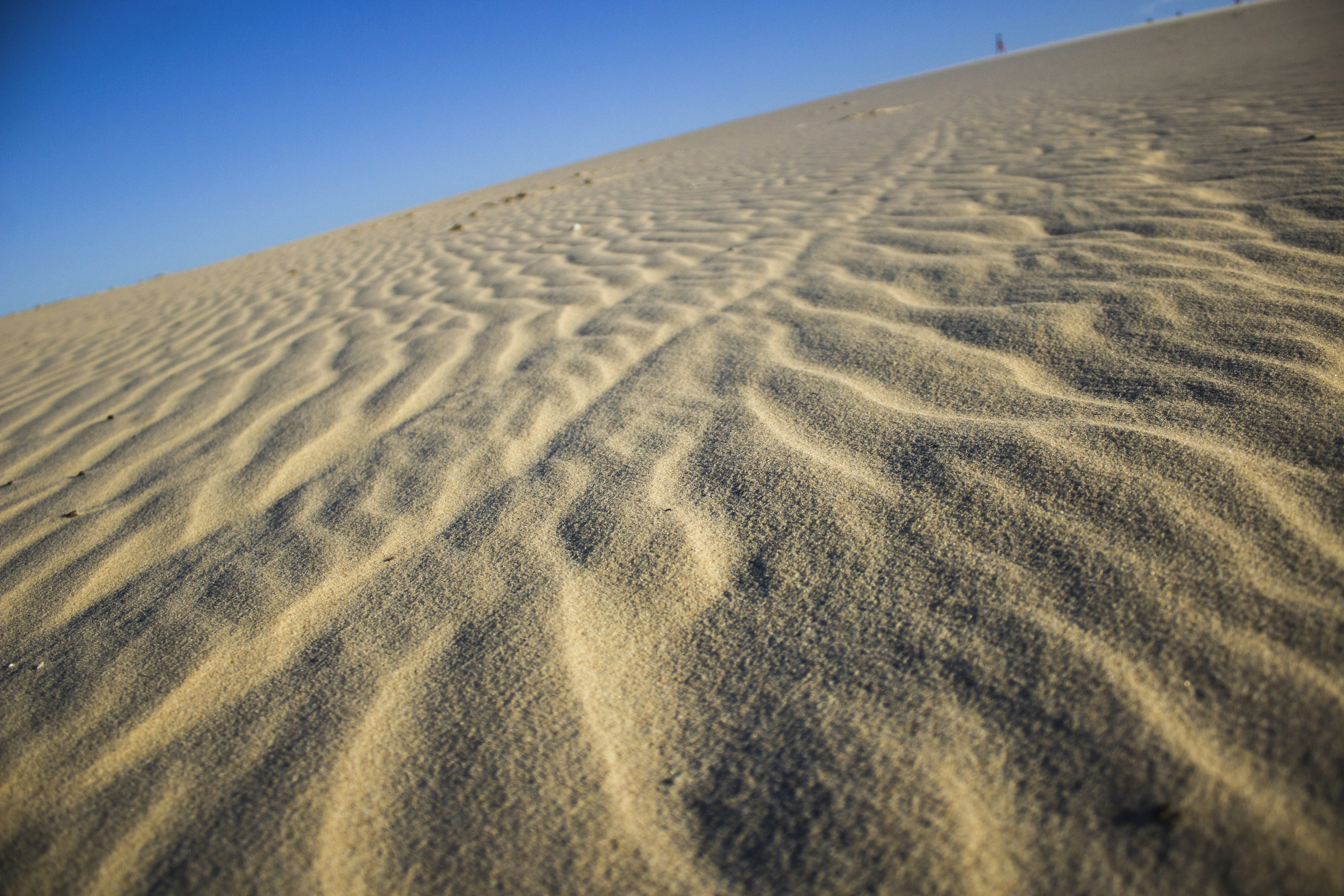 Whispering Dunes: A Seaboard of Wind-Carved Ridges