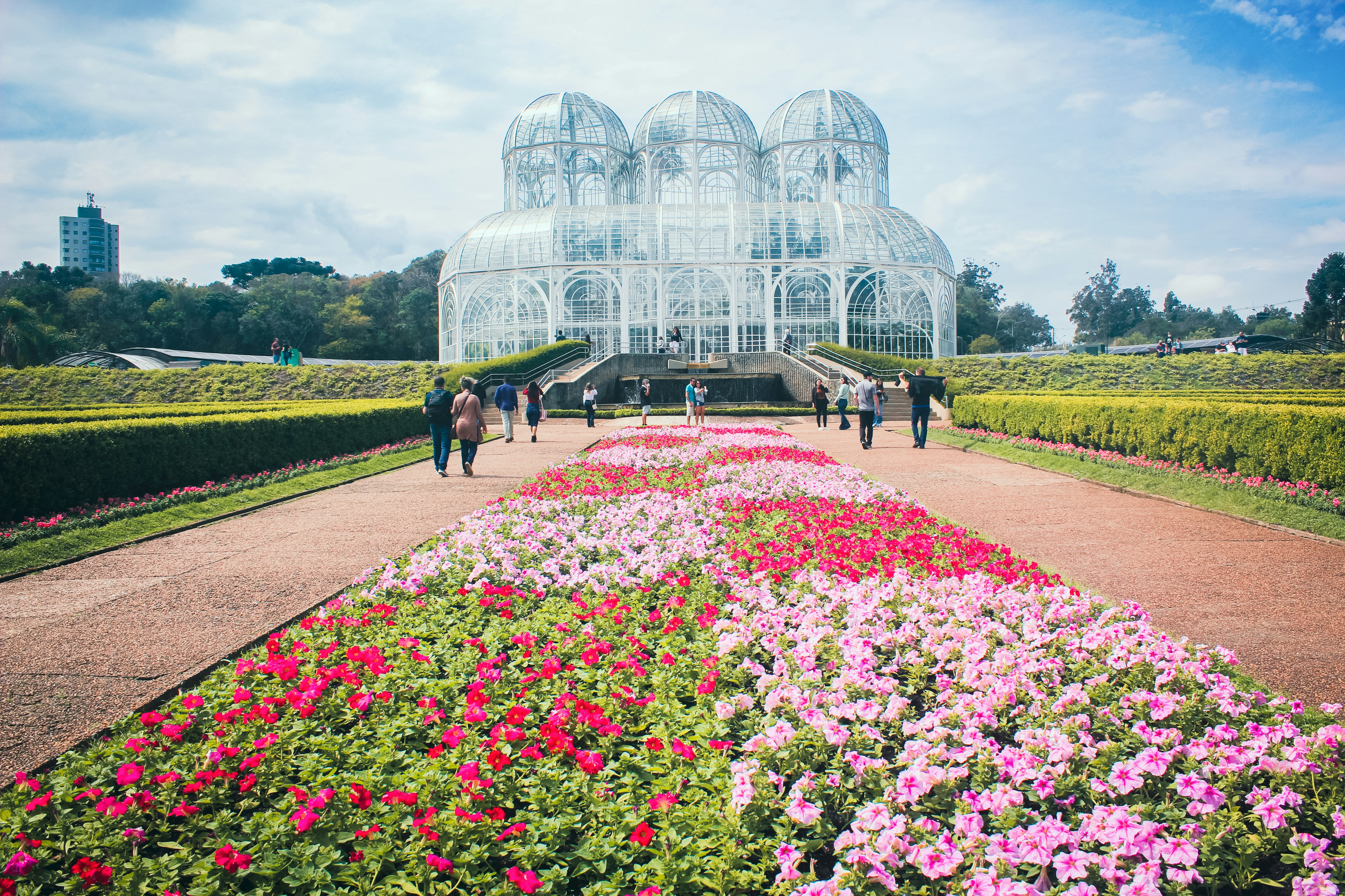 Glasshouse Central: A Burst of Color Leading to the Conservatory