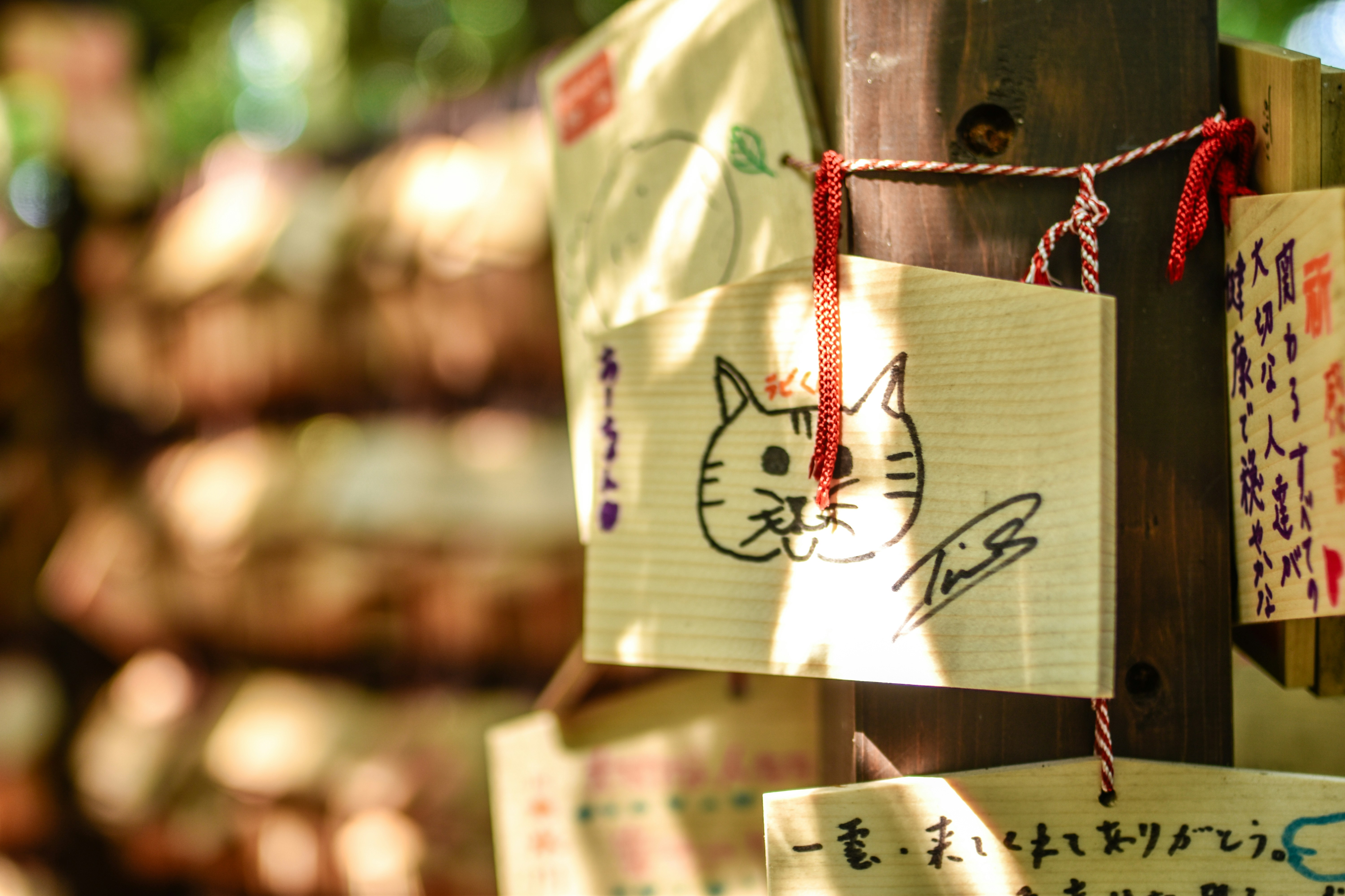 Handwritten Wishes: Wooden Plaque with Cat Sketch and Ropes