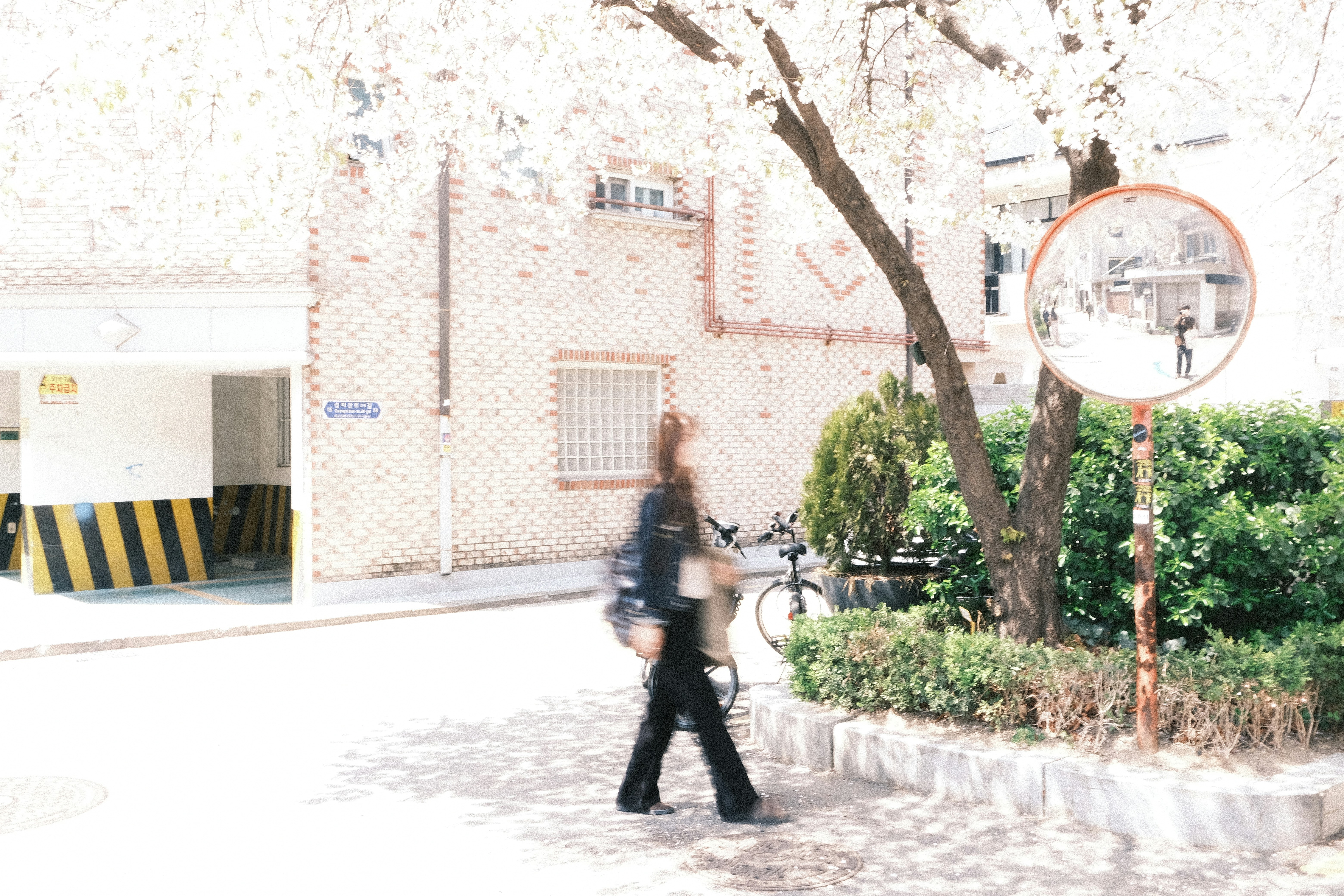 Motion in Quiet Heat: A Figure Walks Past a Sunlit Street Corner
