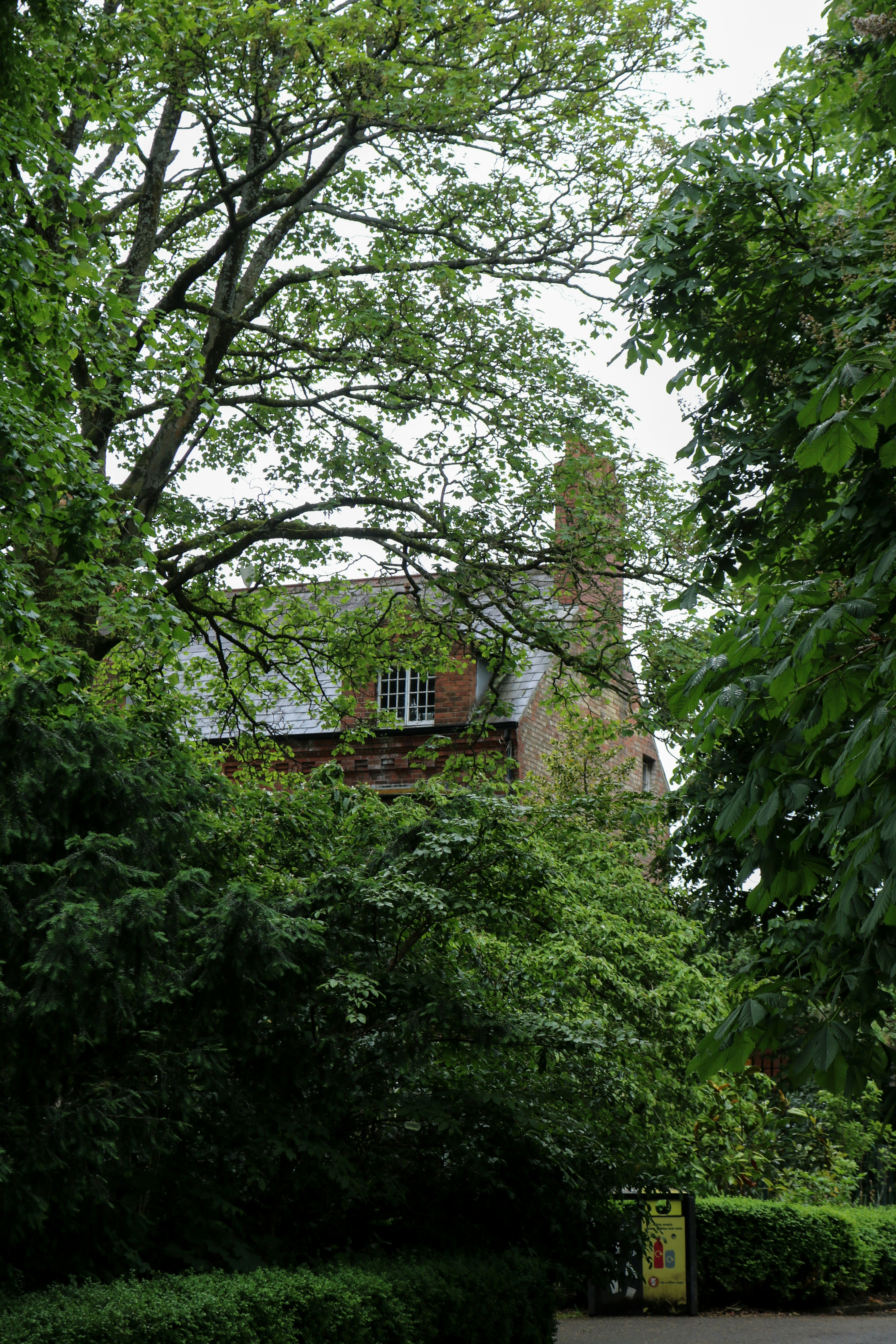 Hidden House Peeking Through a Canopy of Green