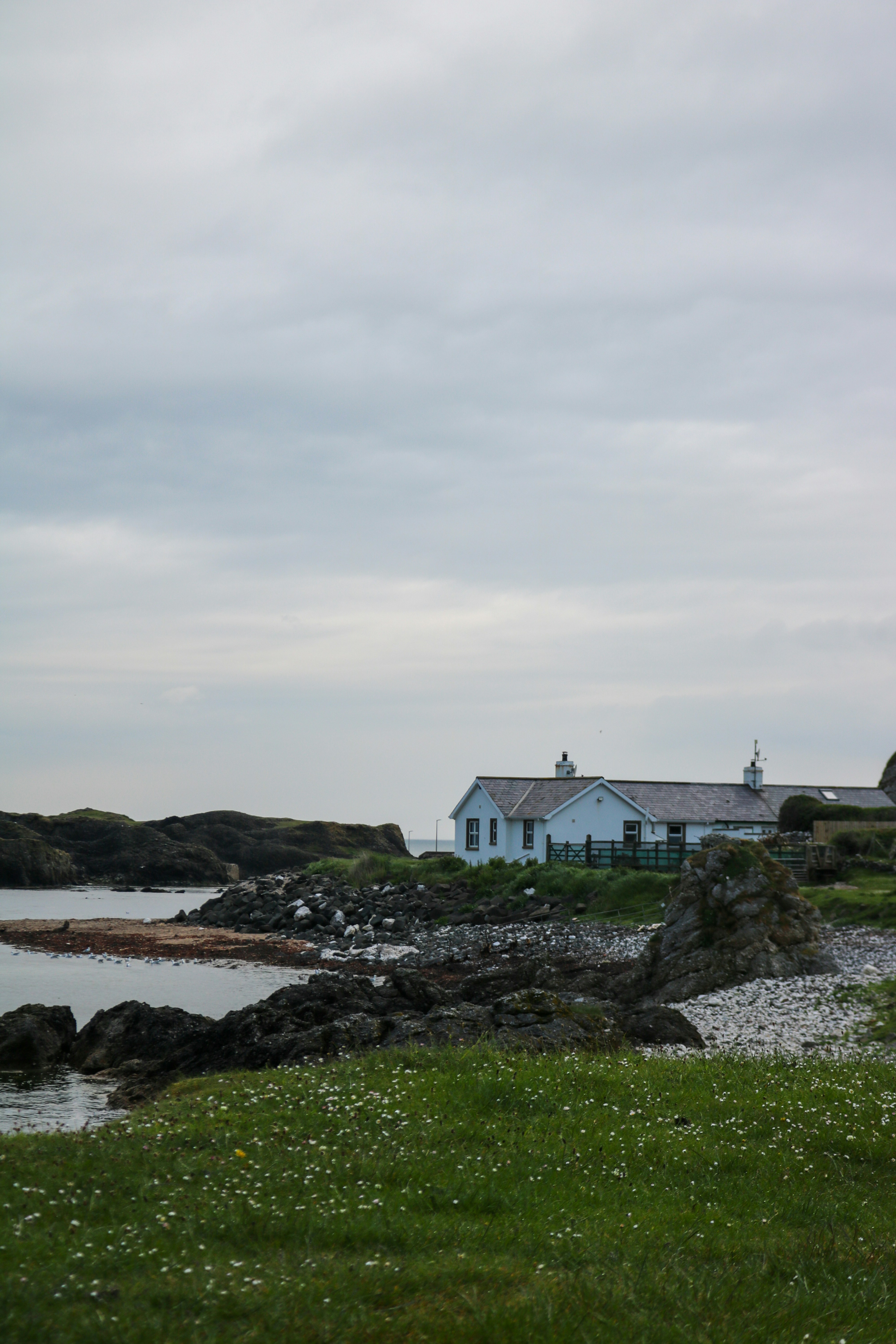 Blue Cottage by the Tidal Edge