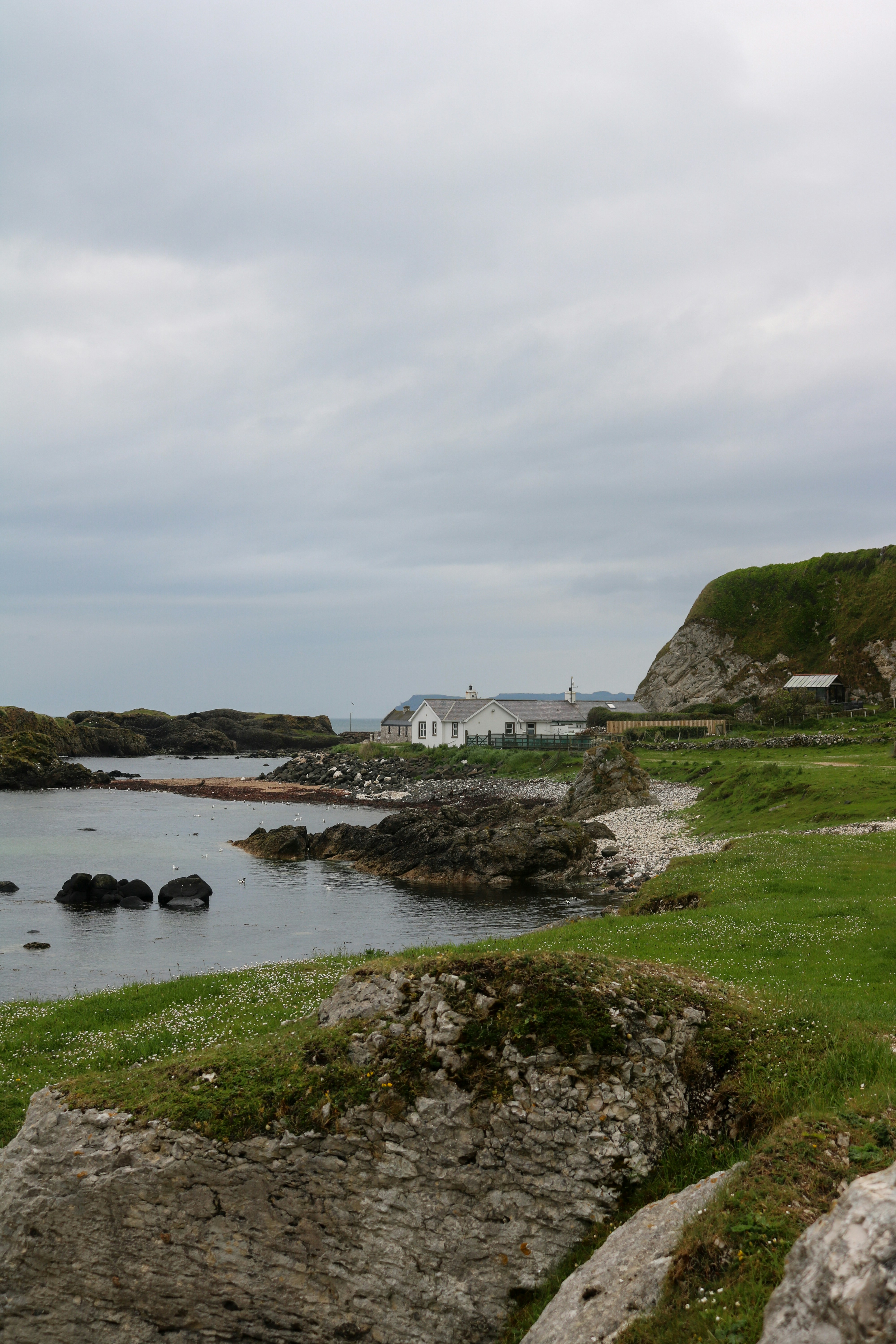 Clifftop Cottages by the Quiet Shore