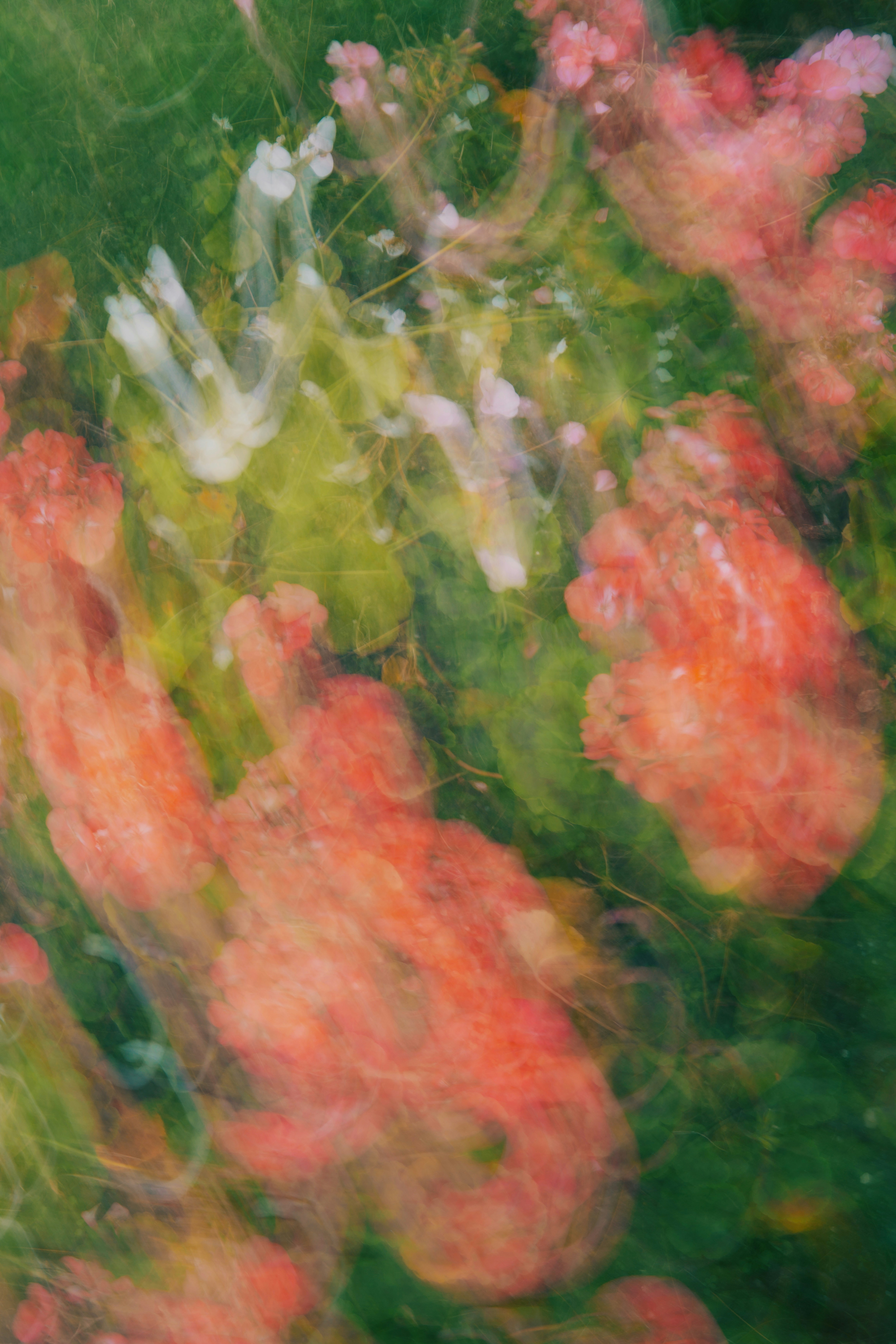 An abstract, motion-blurred scene of pink and white flowers against green foliage, creating a painterly, layered texture with no clear subject. Identified as an impressionistic floral composition.
