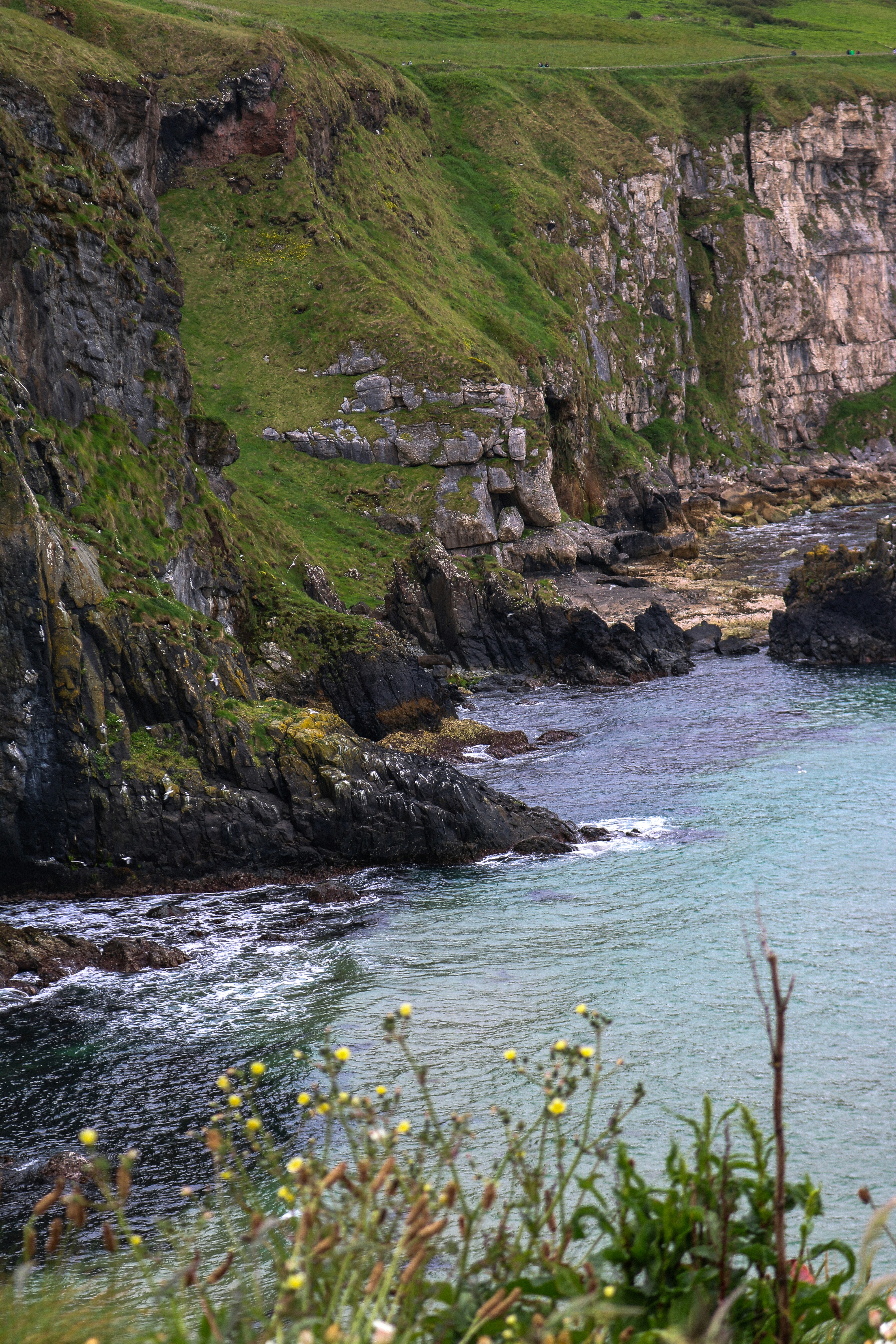 Cliffside Coasts: Azure Water Meets Verdant Edge