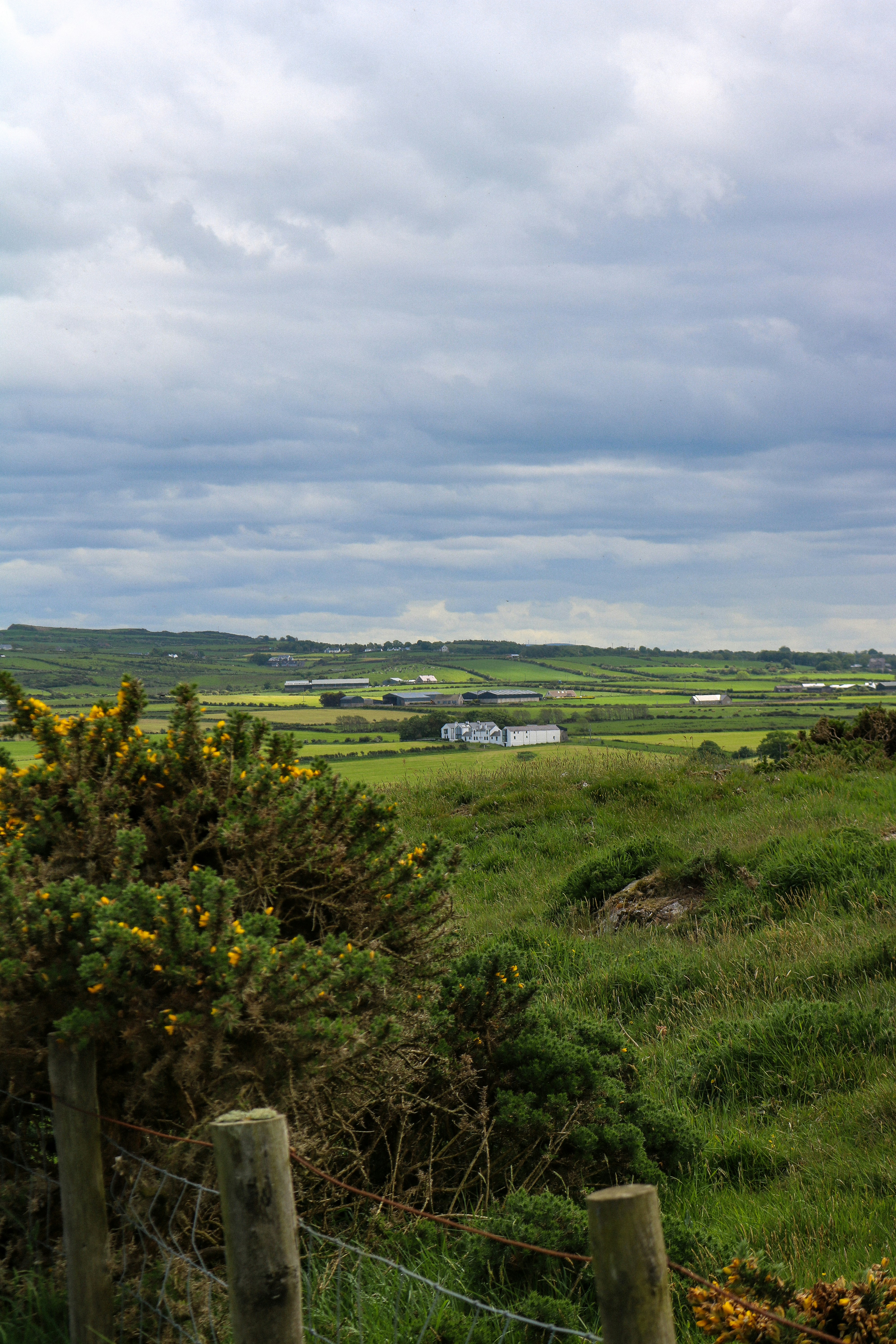 Pastoral Ridge: Fields, Fences, and Low-Cloud Light