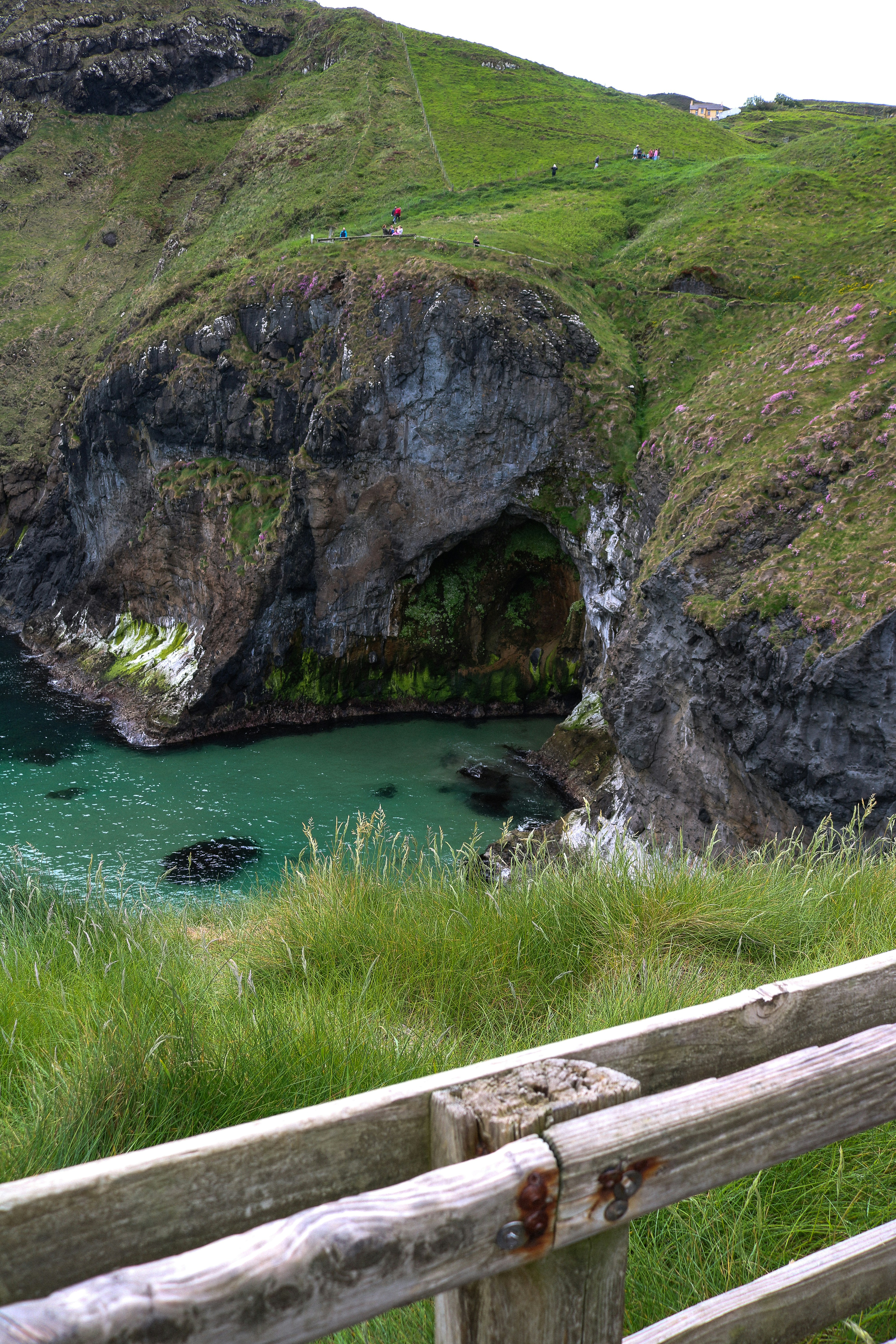 Vista over Green Cliffs: Path, Cave, and Teal Tide