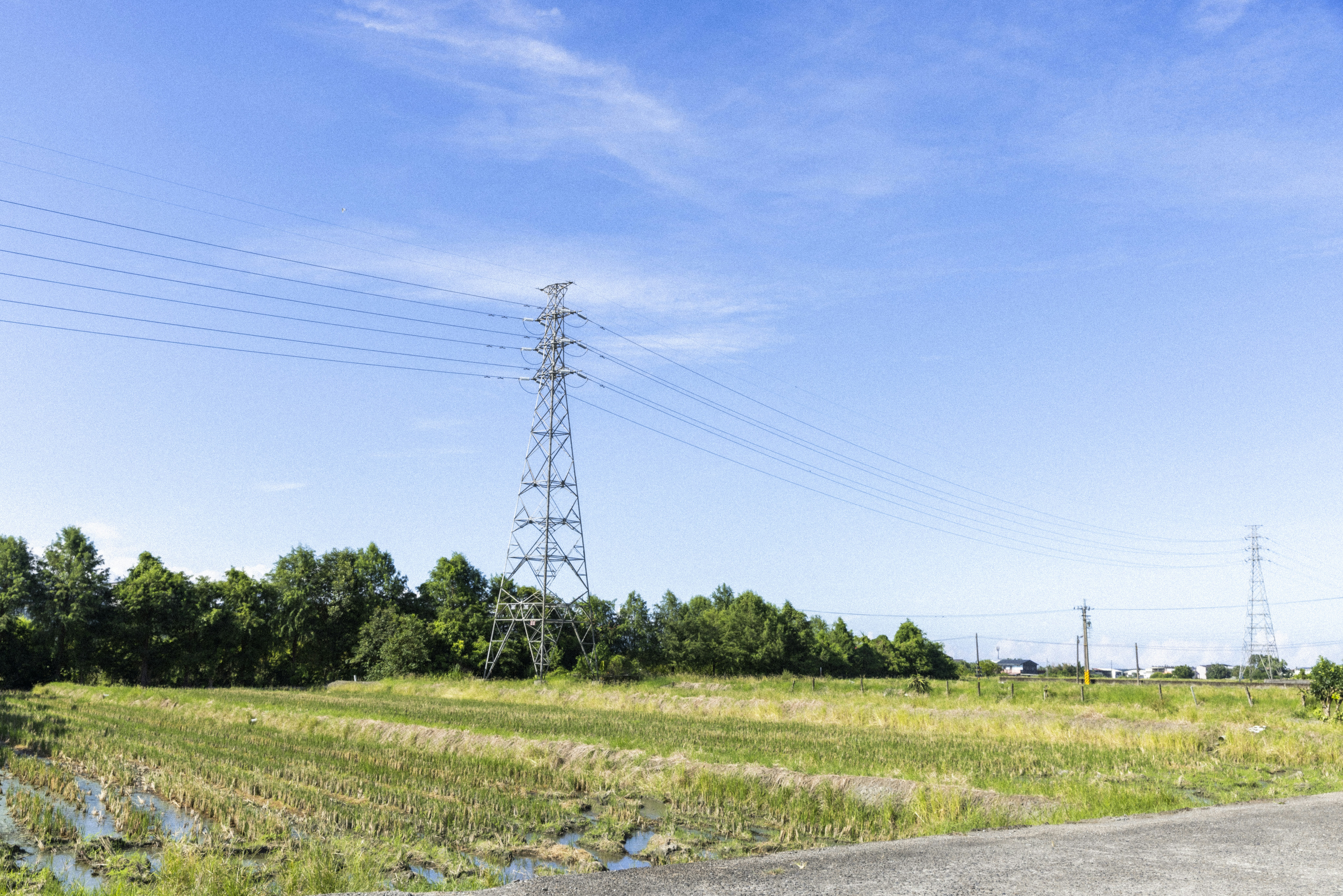 Midfield Power Lines: A Quiet Field Under Clear Sky
