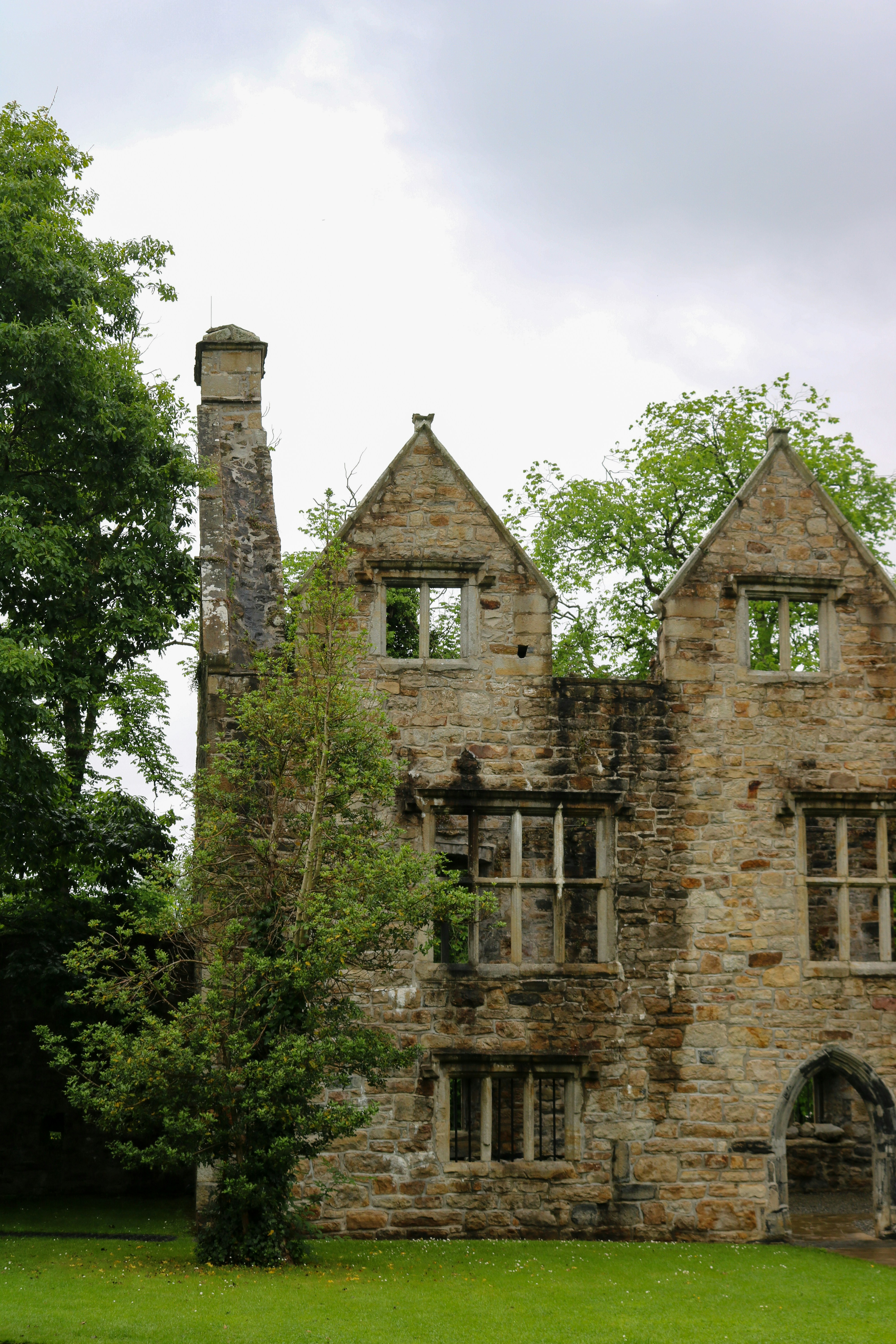 Ruins in the Greenery: A Stone Face of Time