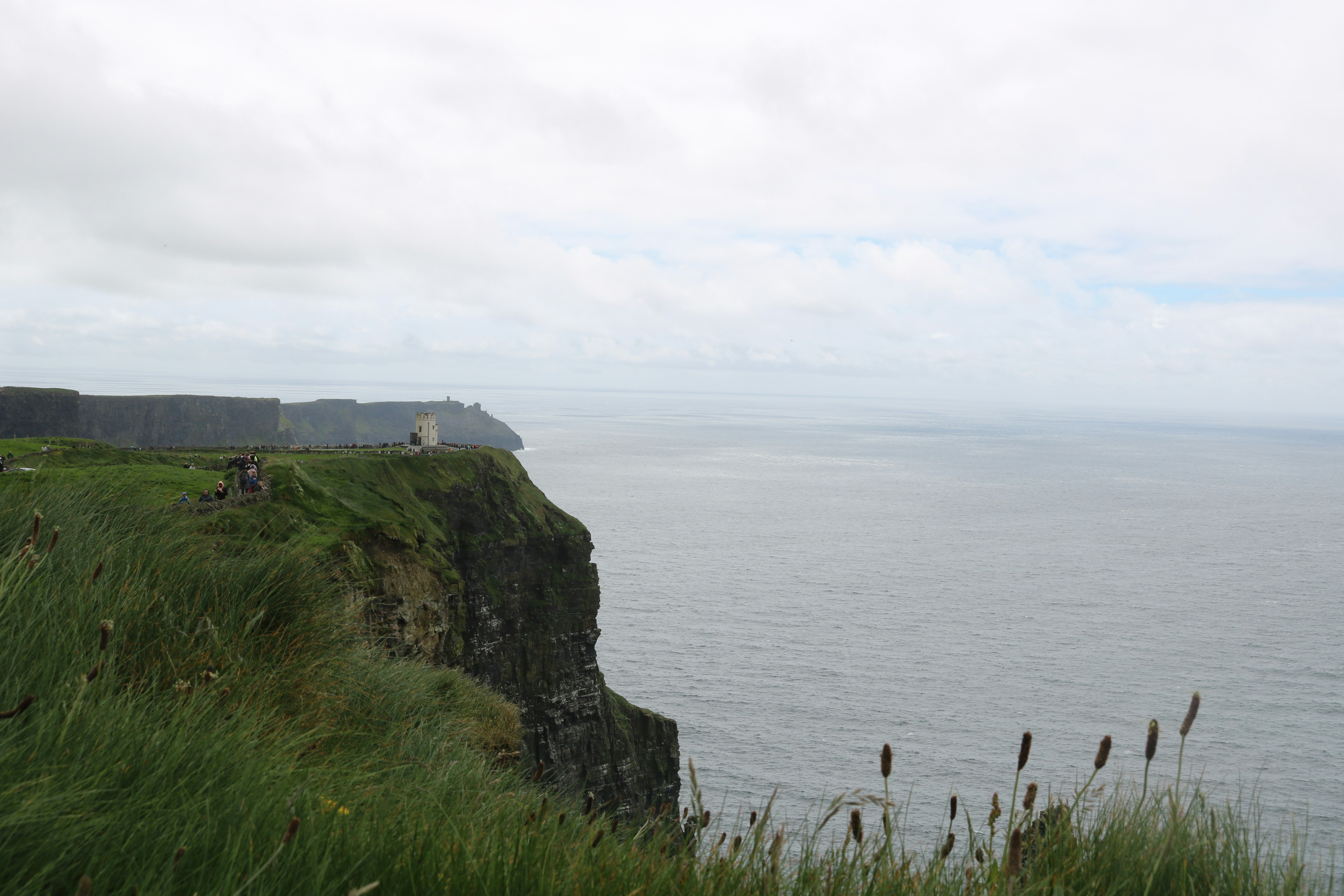 Cliffside Vista: A Curving Path of Green Toward the Atlantic Edge