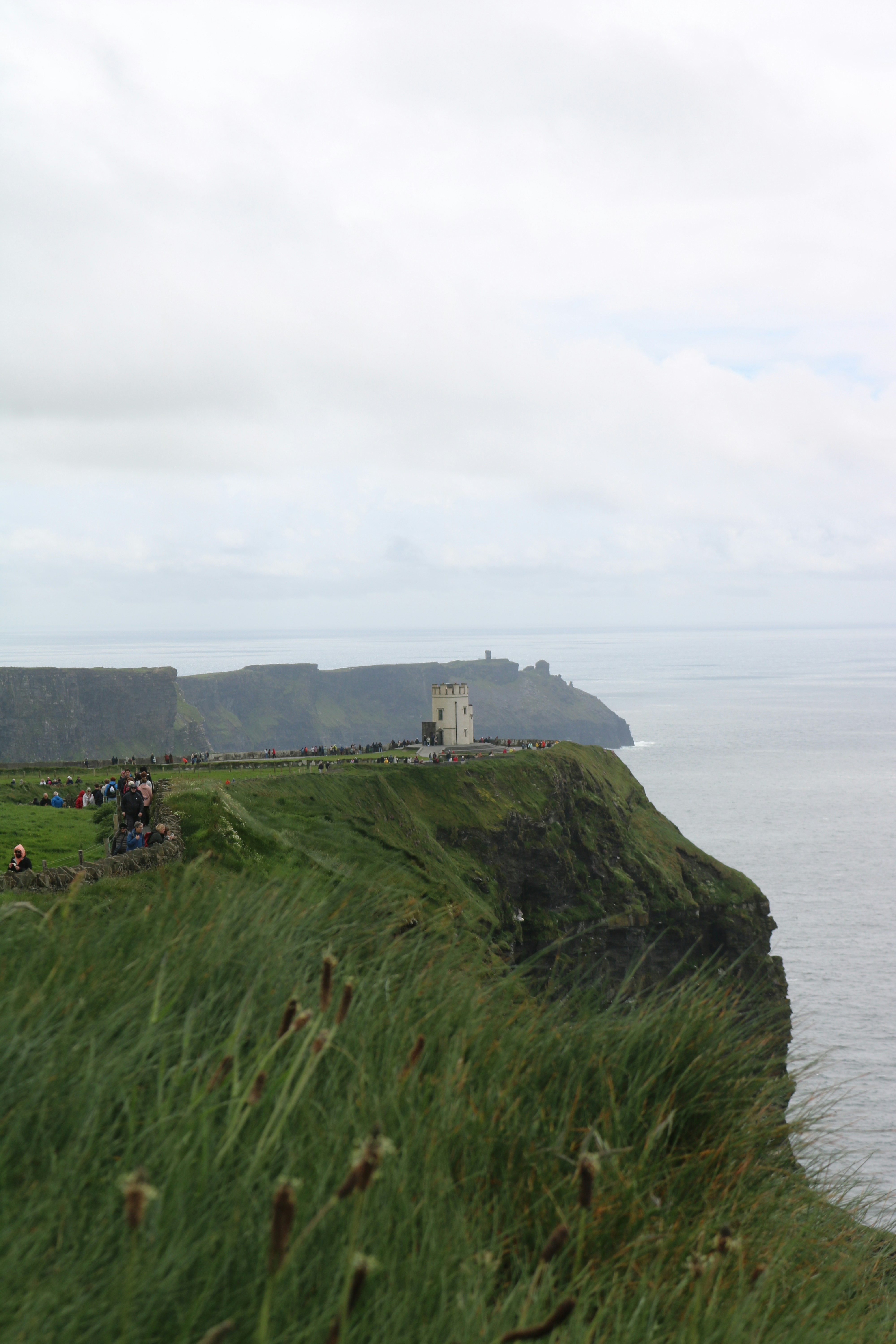 Clifftop Keep: People Watching the Atlantic from a Verdant Edge
